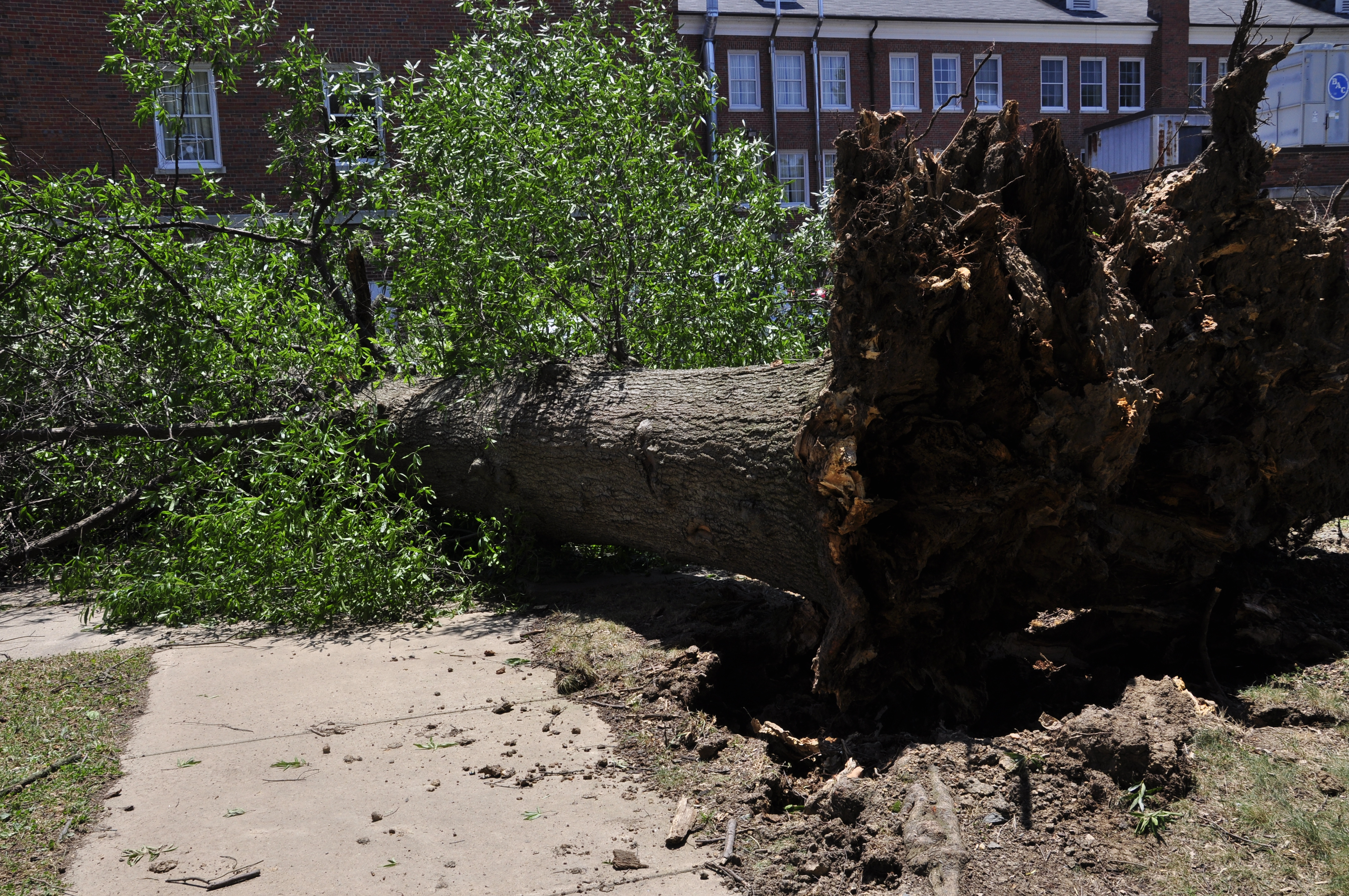 MCB Quantico staff, area commands plan for destructive weather > Marine ...