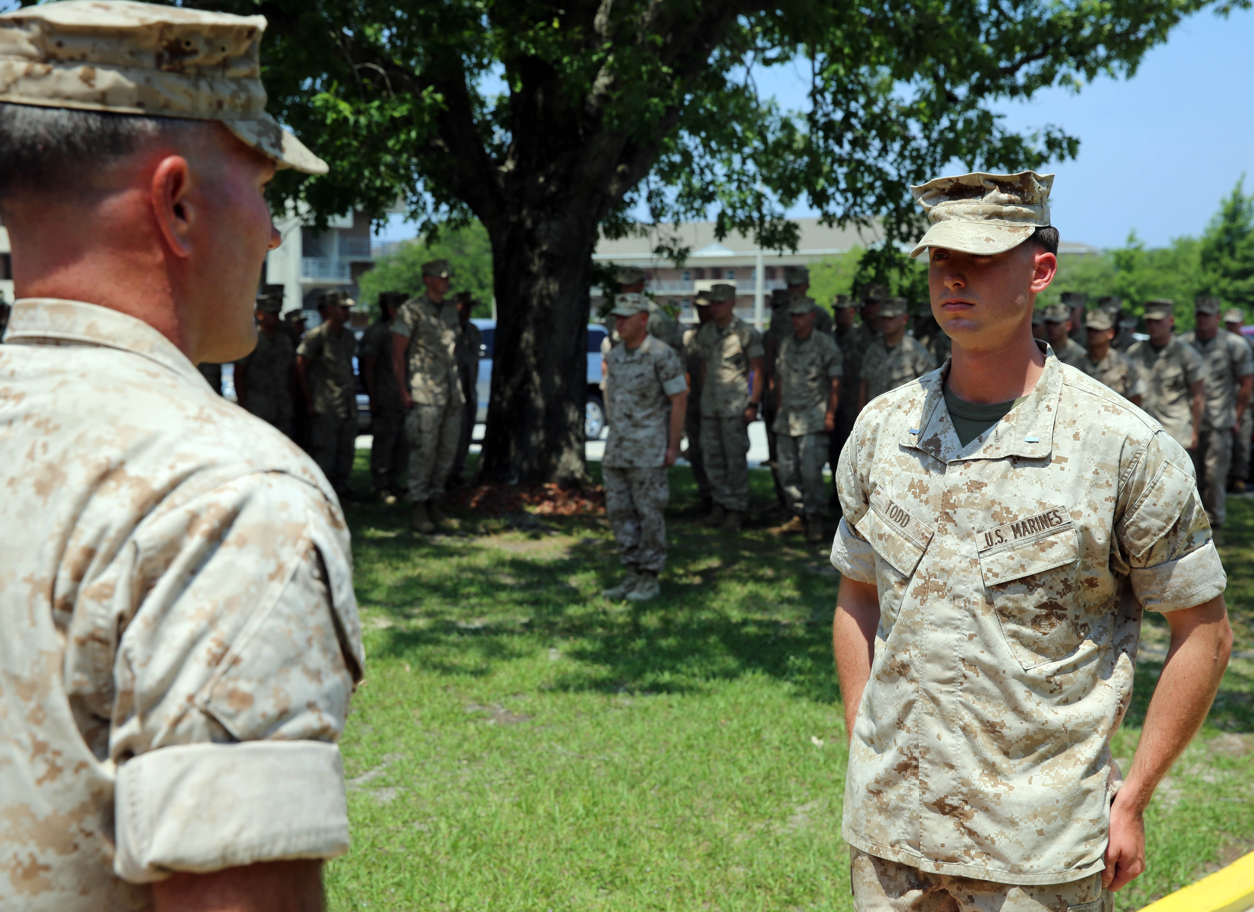 Bronze Star awarded to Warlords platoon commander