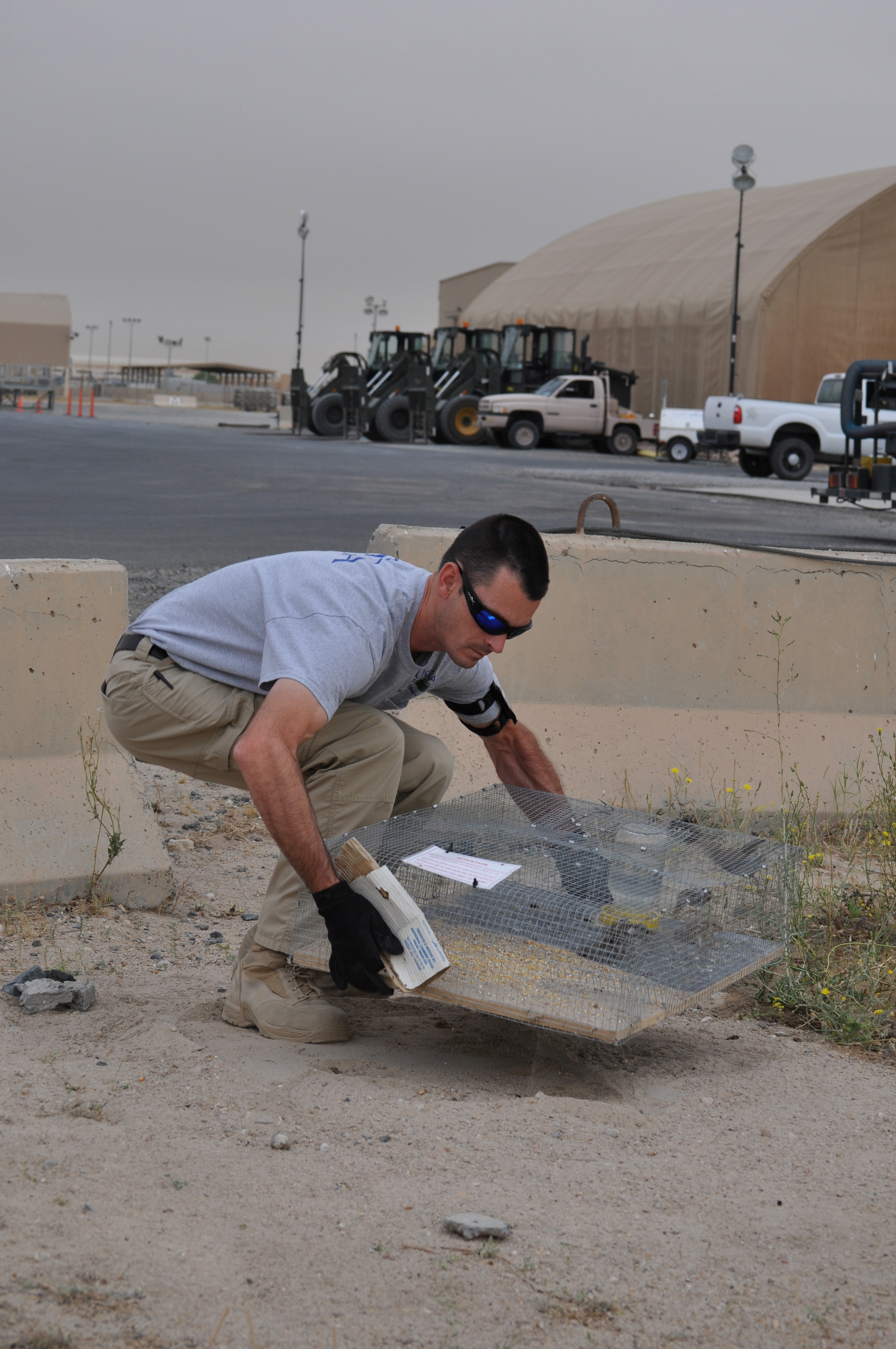 Wildlife biologist works to preserve human life and aircrafts > U.S ... Wildlife biologist works to preserve human life and aircrafts > U.S ...