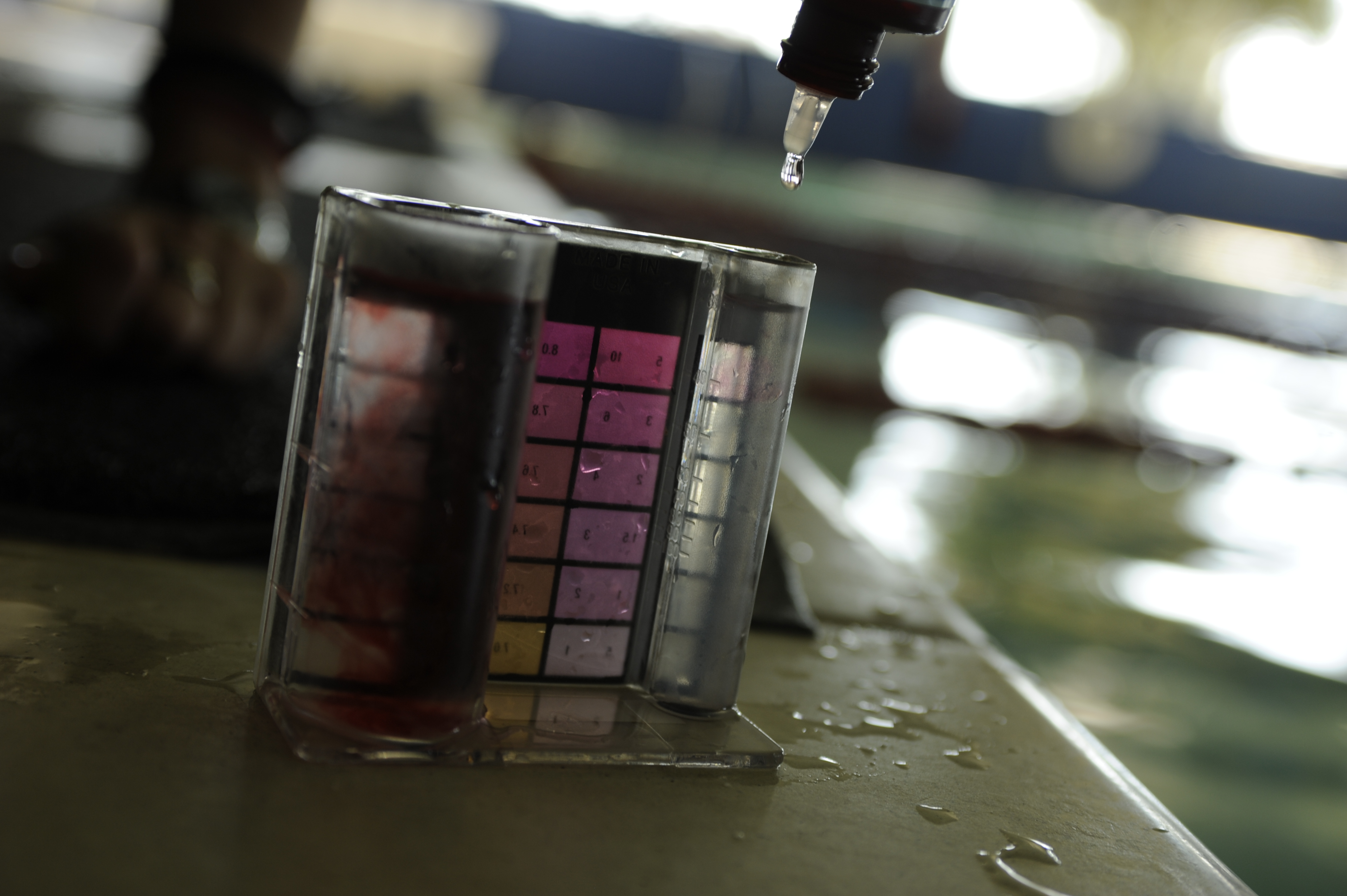 JBLE community stays fit at Shellbank pool > Joint Base Langley-Eustis ...