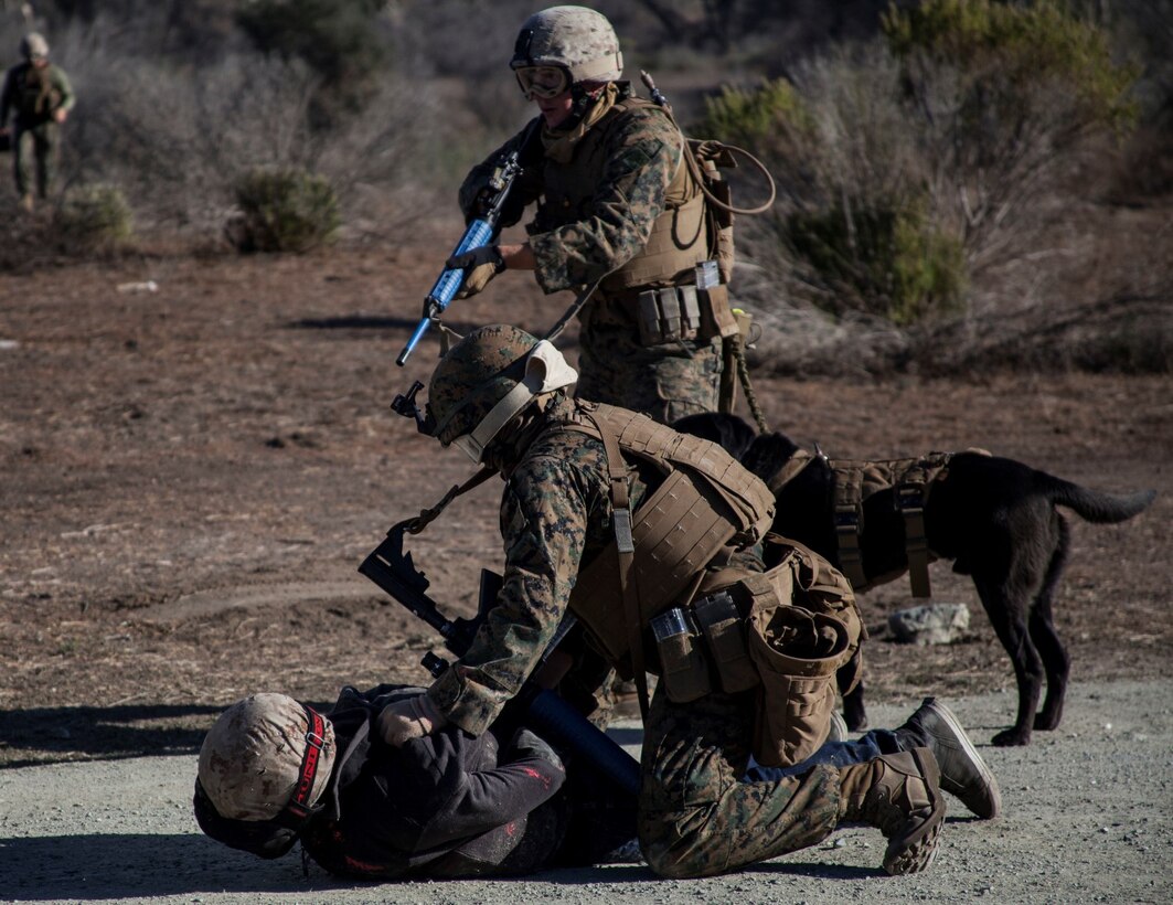 Security Element Course