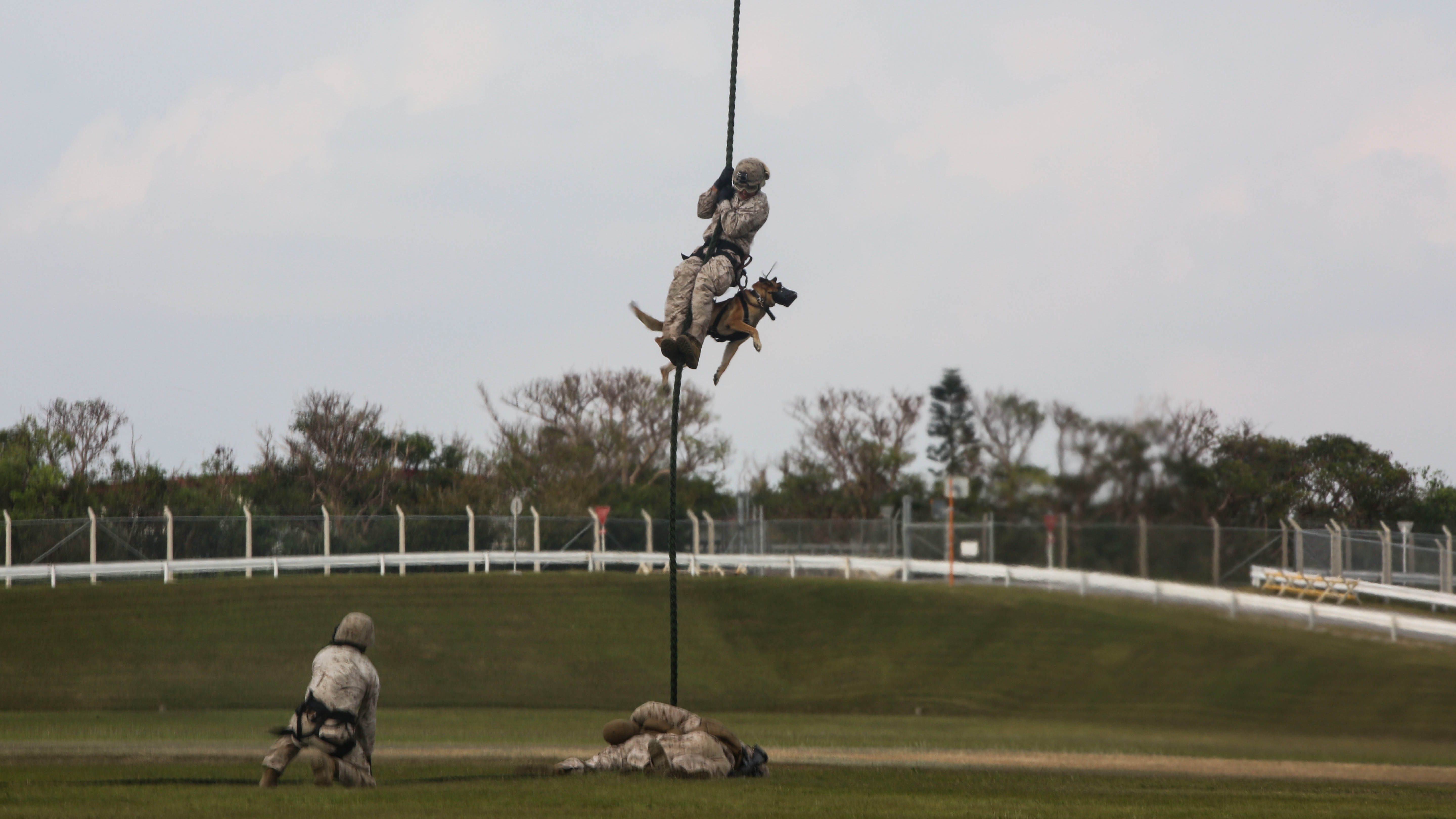 3rd LE Bn Fast-ropes with dogs