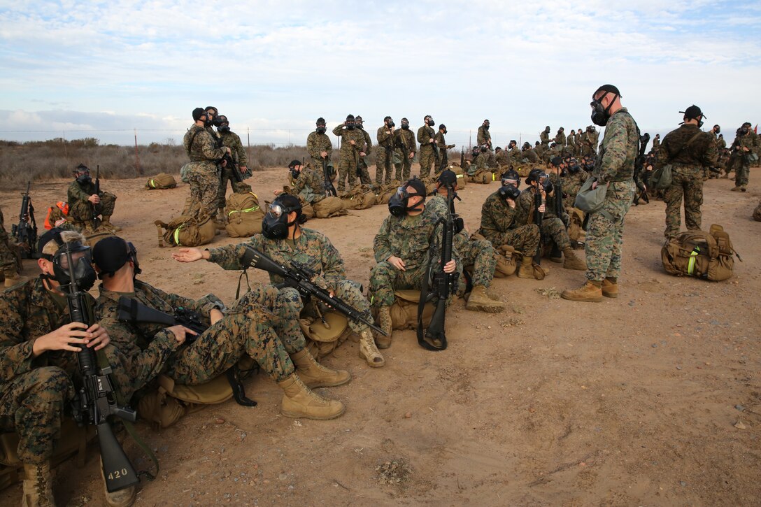 Marines of MWCS-38 use training to help celebrate birthday