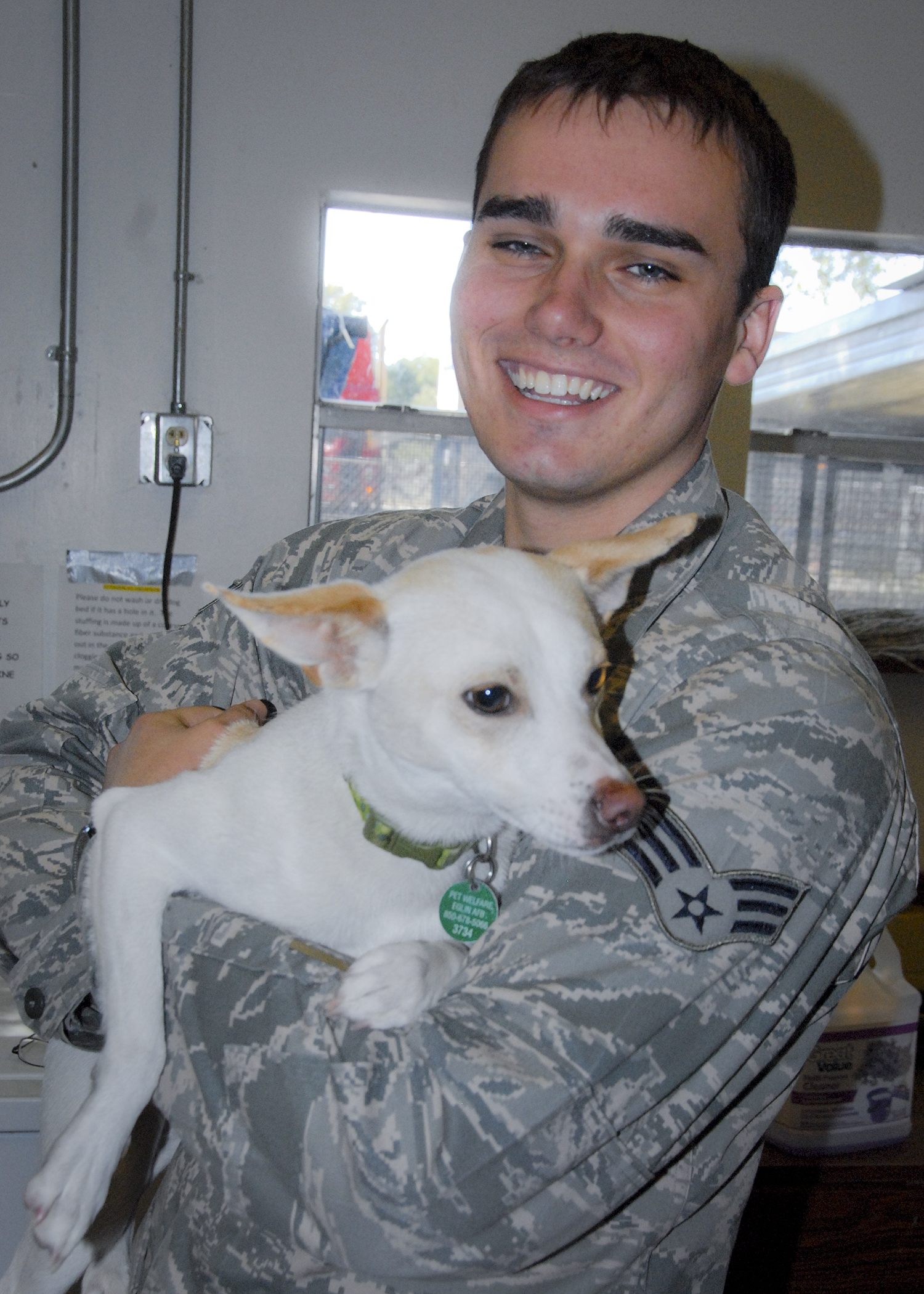 Pet Welfare Center adds ward, MSG support > Eglin Air Force Base ...