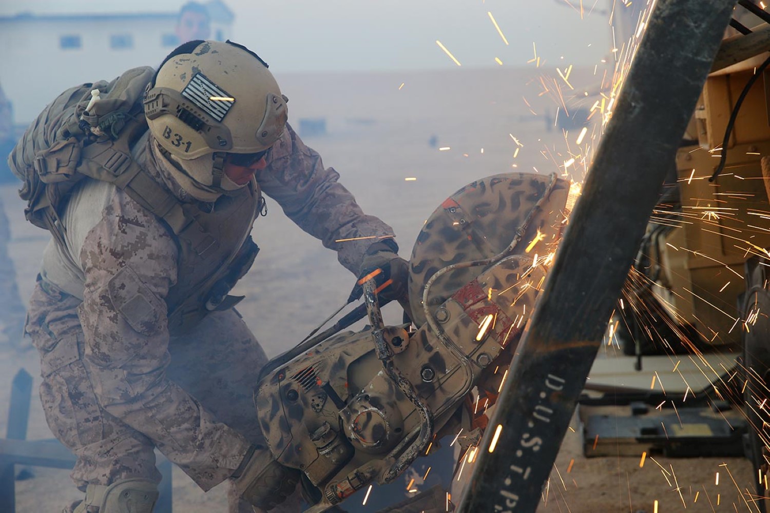 Direct Action Training