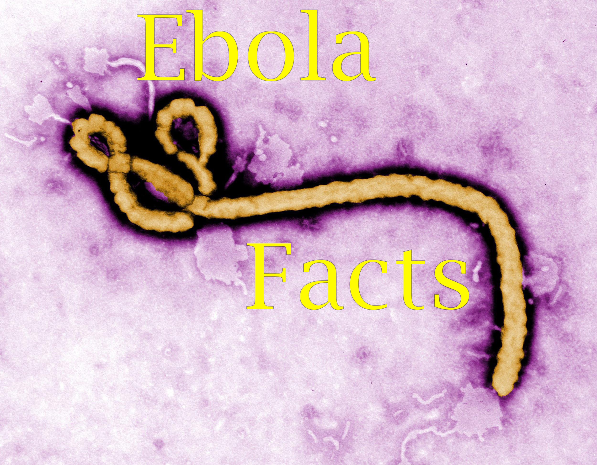 Facts About The Ebola Virus