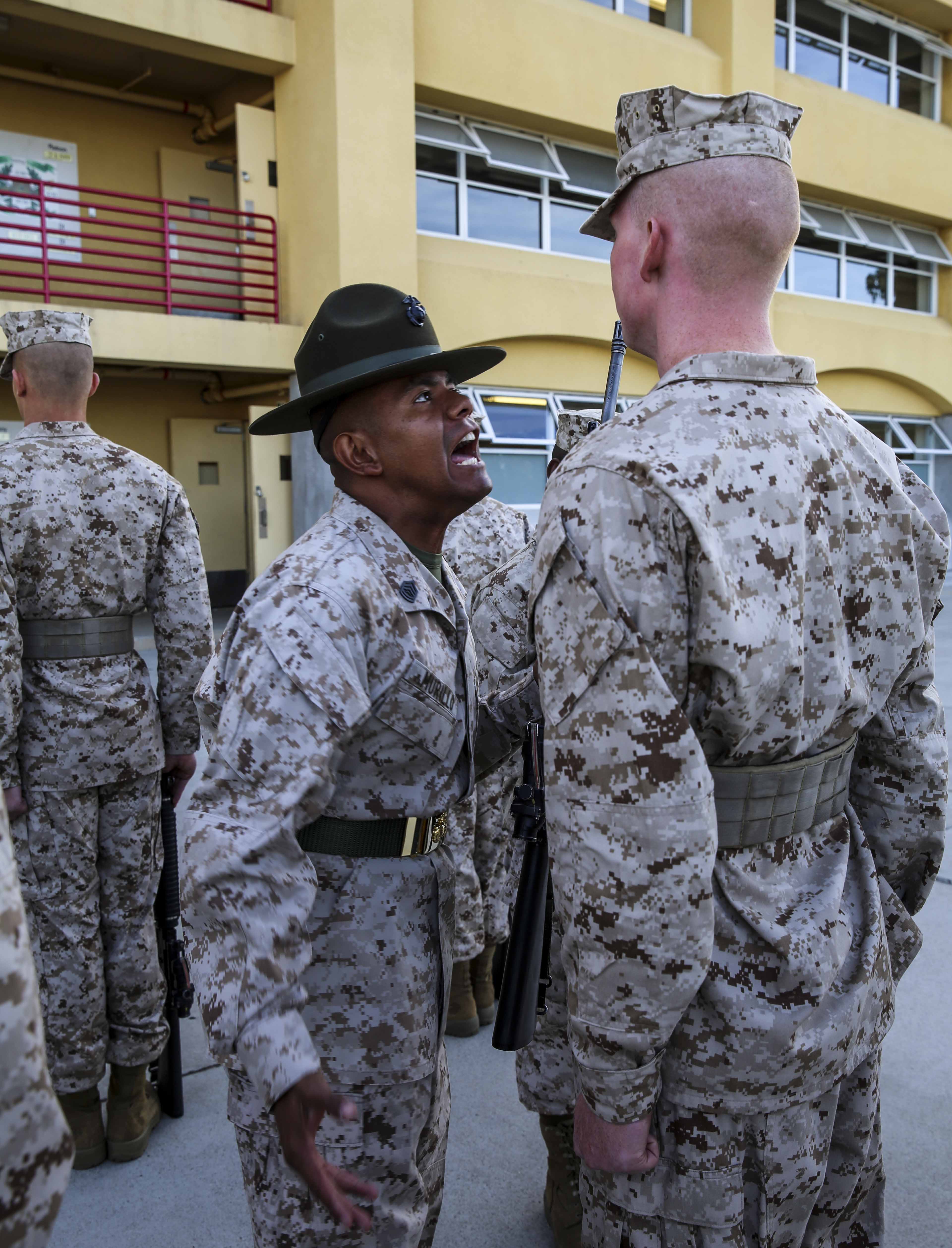 Series Commander Inspection