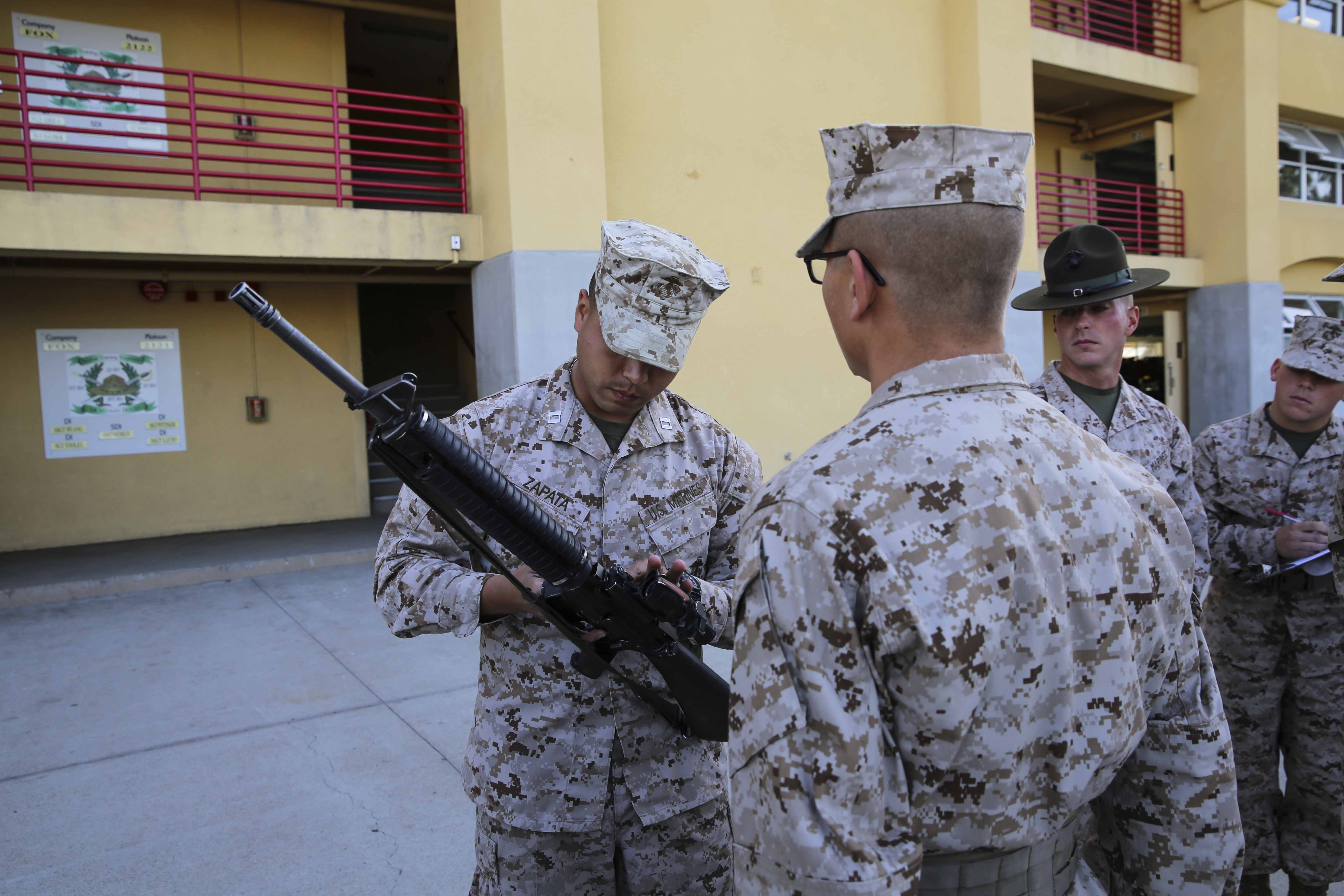 Series Commander Inspection