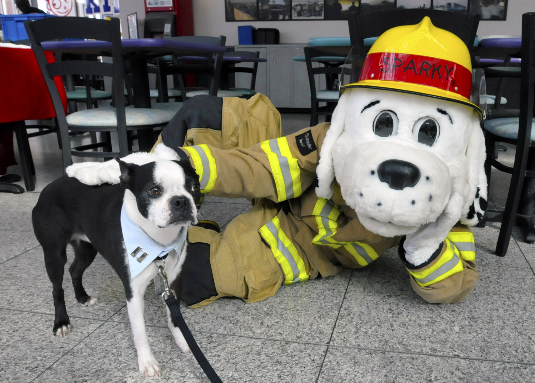 Sparky The Fire Dog