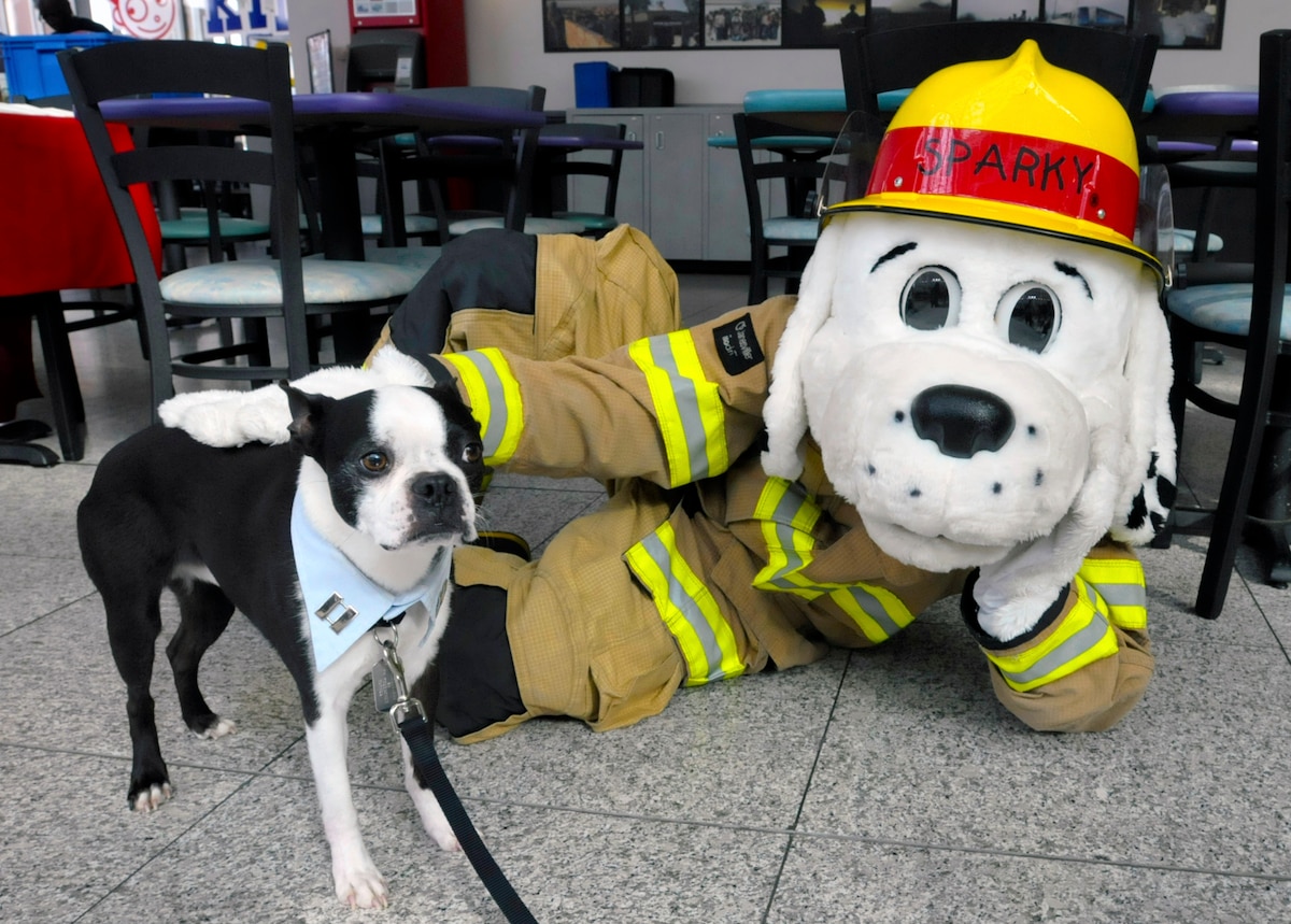 Capt. Spanky meets Sparky the Fire Dog > Ramstein Air Base > Display