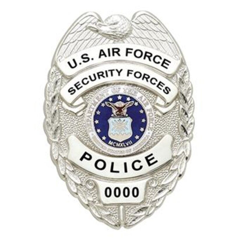 733 SFS- Badge