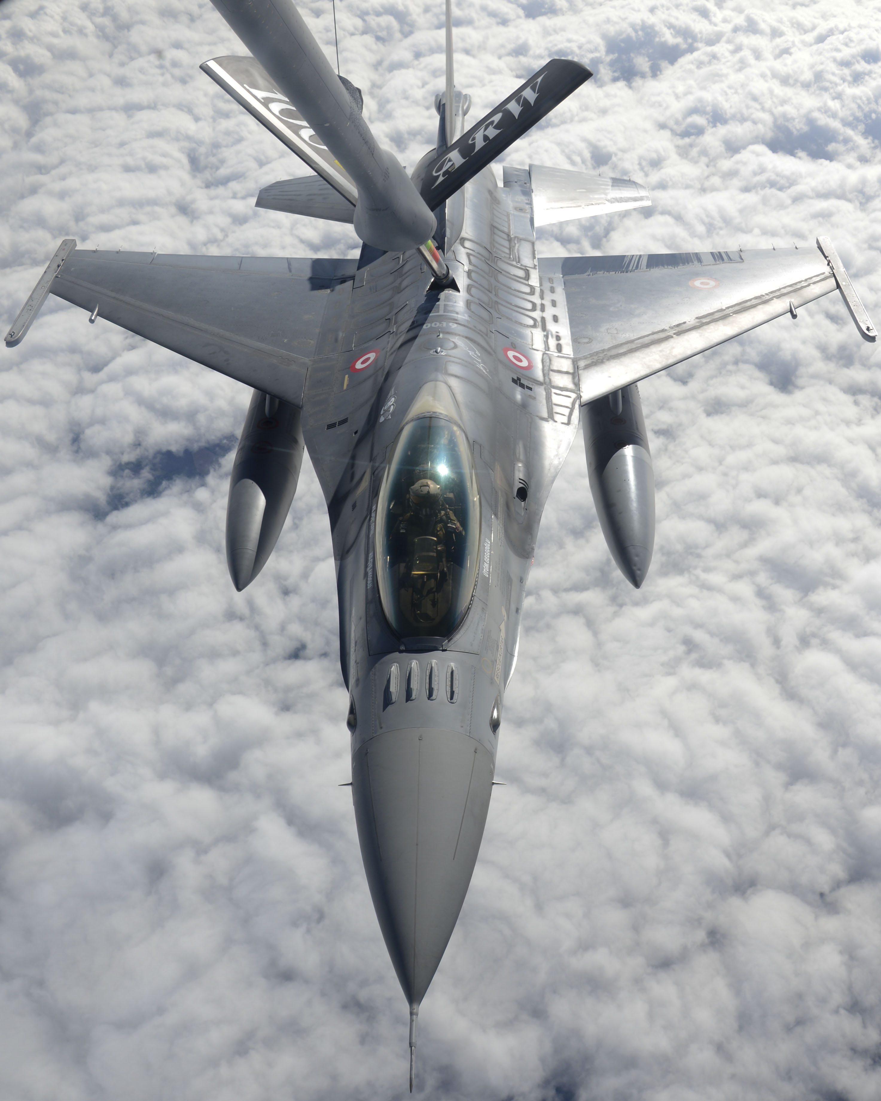 NATO displays cohesion through exercise Noble Justification