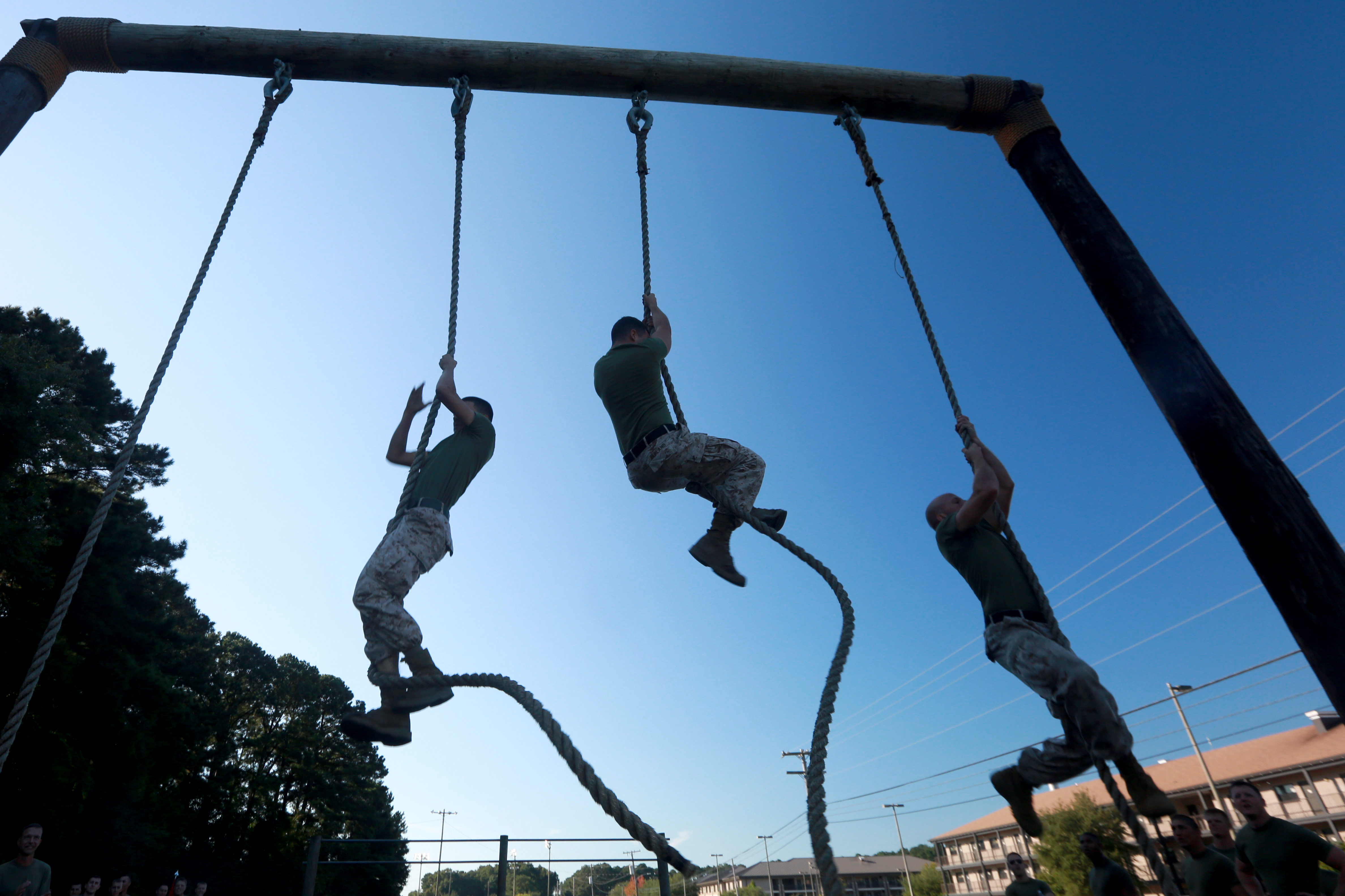 Sweathogs sweat it out during field meet