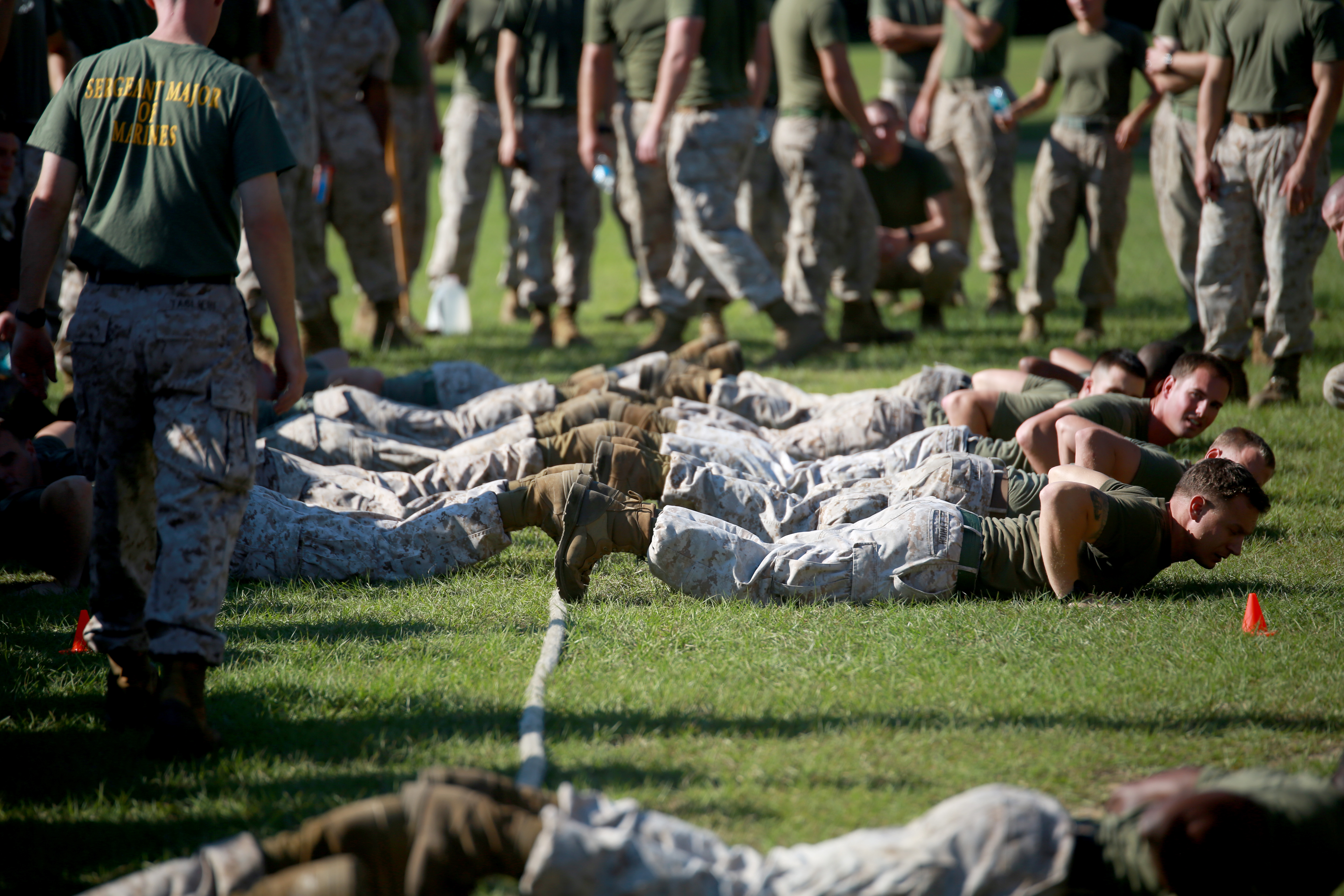 Sweathogs sweat it out during field meet
