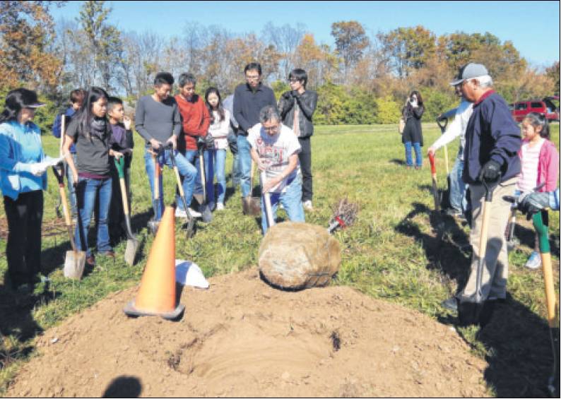 Operation 1000 Cherry Tree Project plants 50 more trees near AF Museum ...