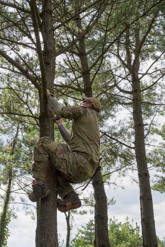 Paratroopers: Eagles enable army jumpers