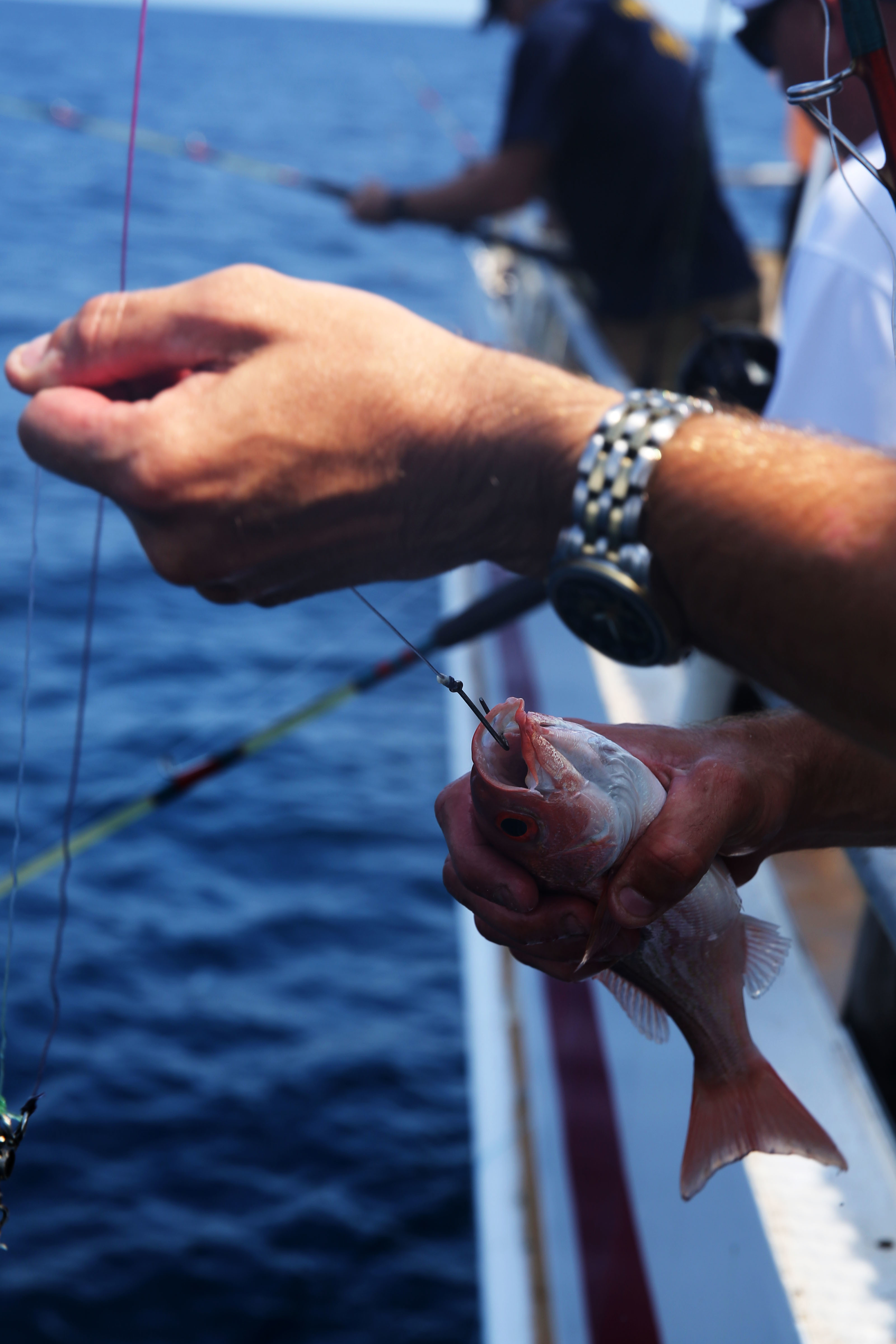 Make mission, go fishin’