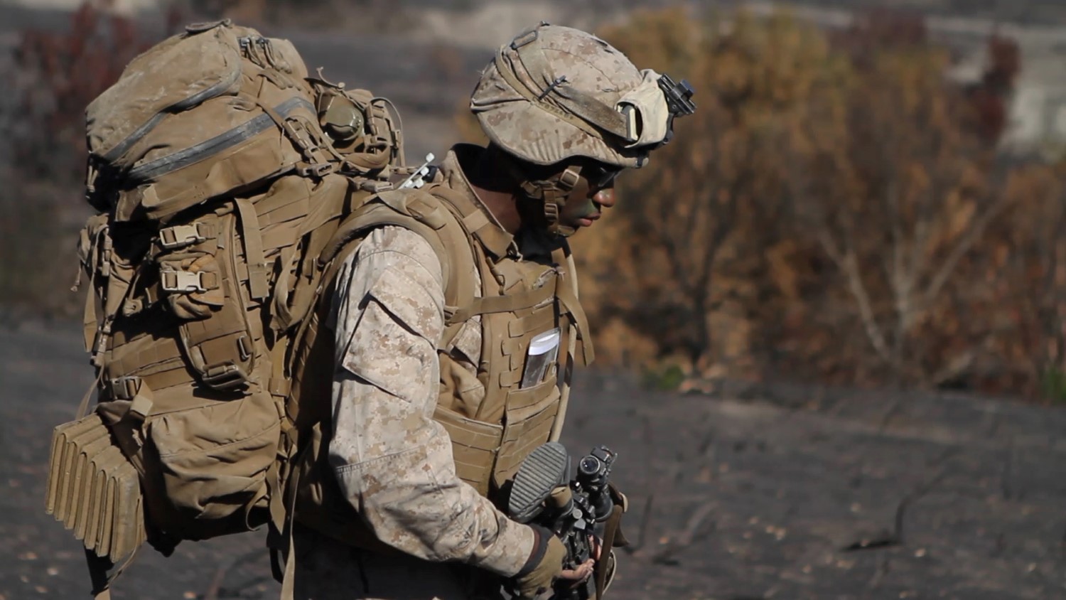 3rd Battalion 1st Marines Companies