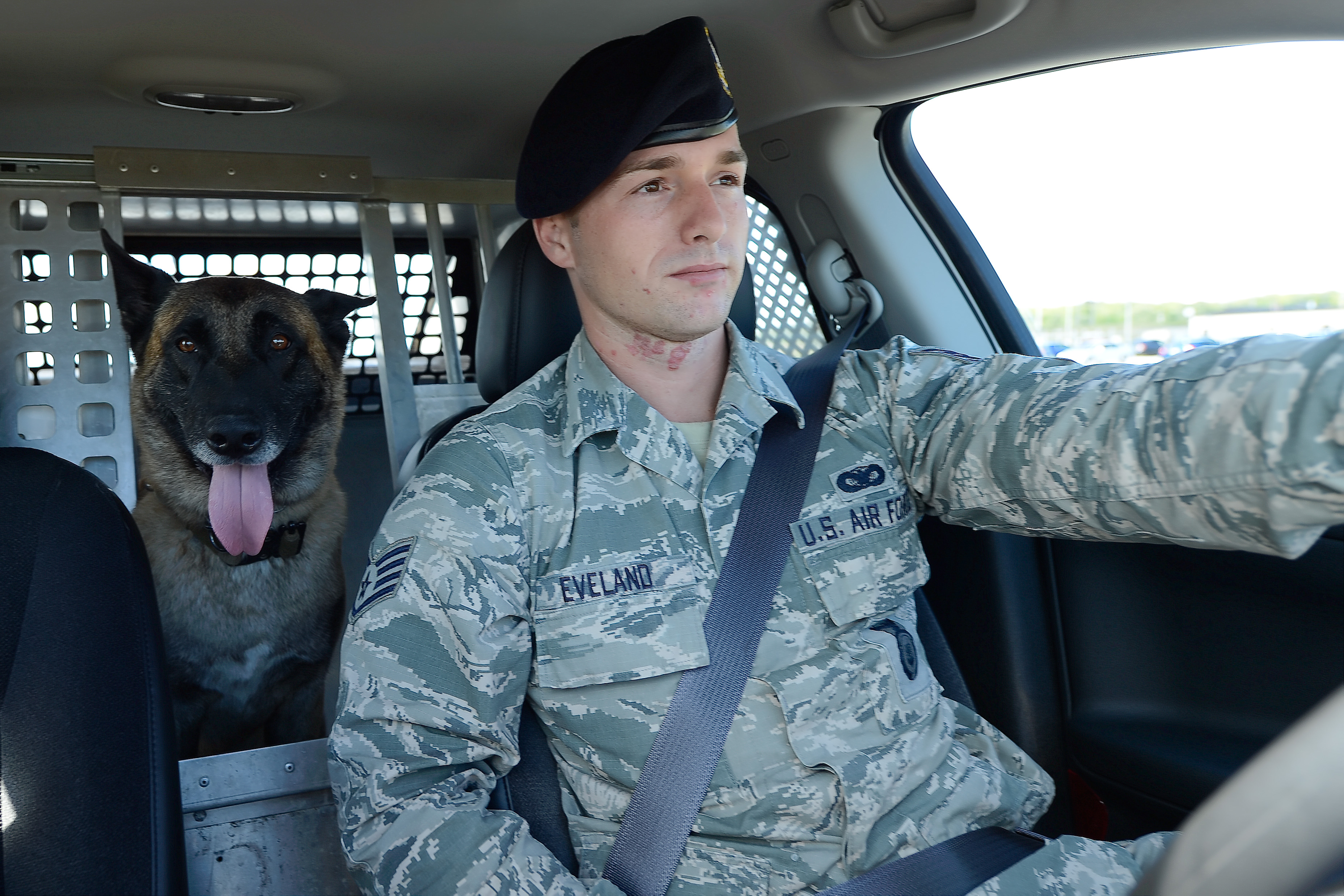 SNAPSHOT: Military Working Dogs of Team Dover > Dover Air Force Base > News