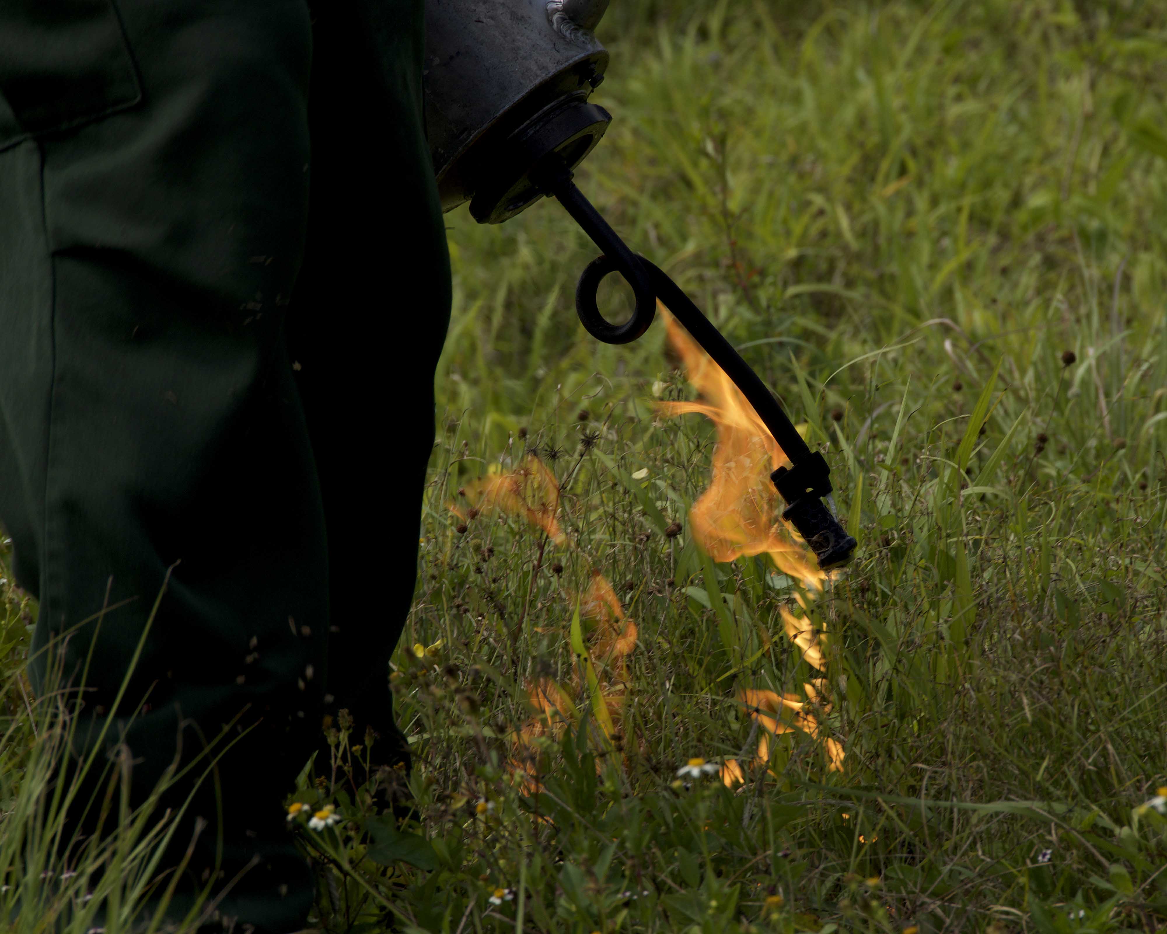 Prescribed burn improves safety, security near airfield > Homestead Air ...