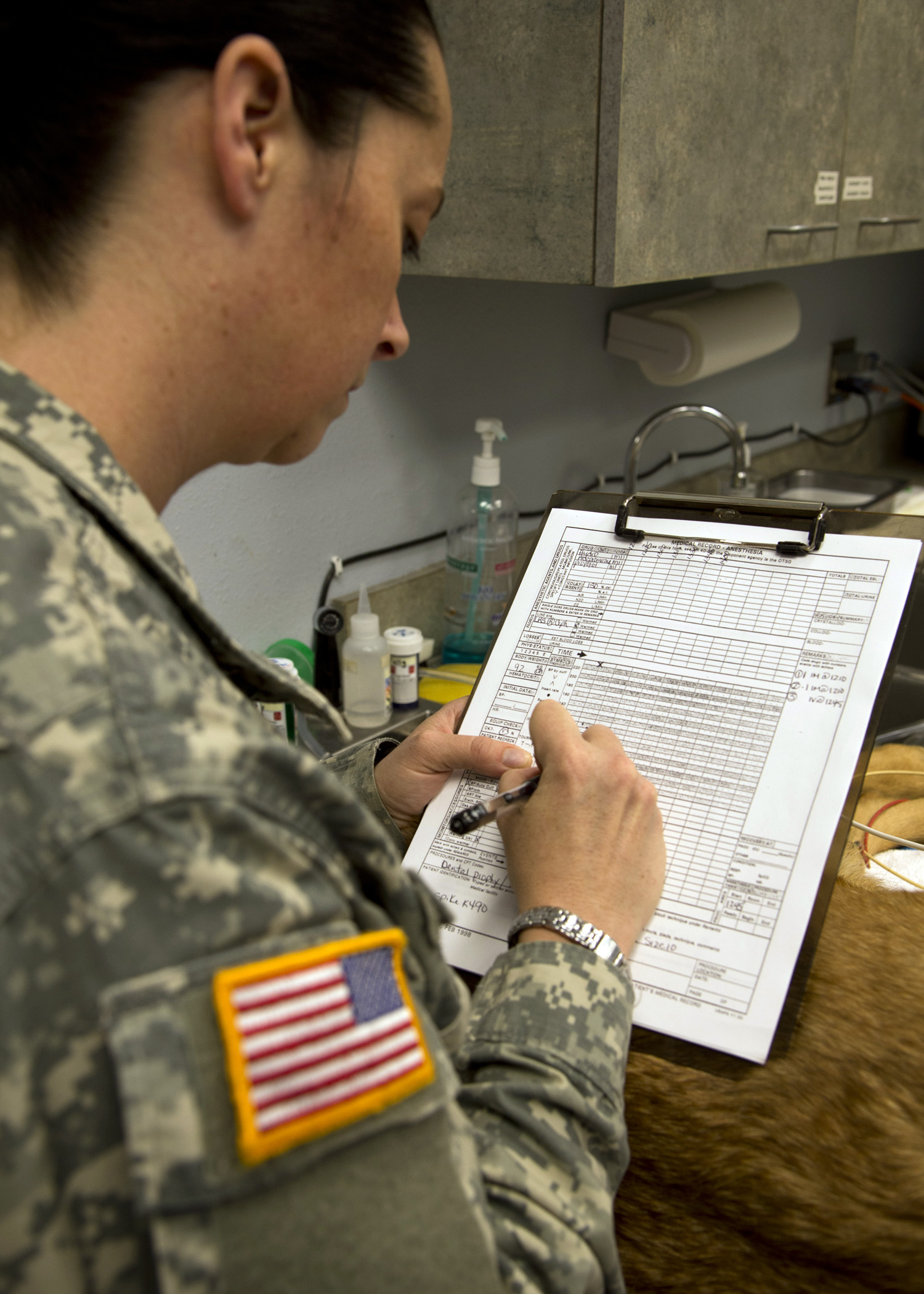 Army MWD provides Air Force vet training