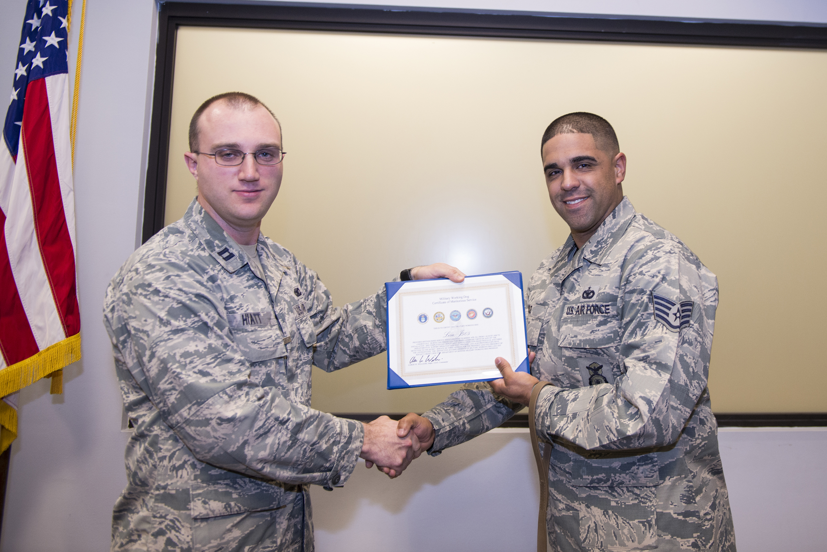 Fit to play: MWD Liza retires after 10 years of service > Moody Air ...