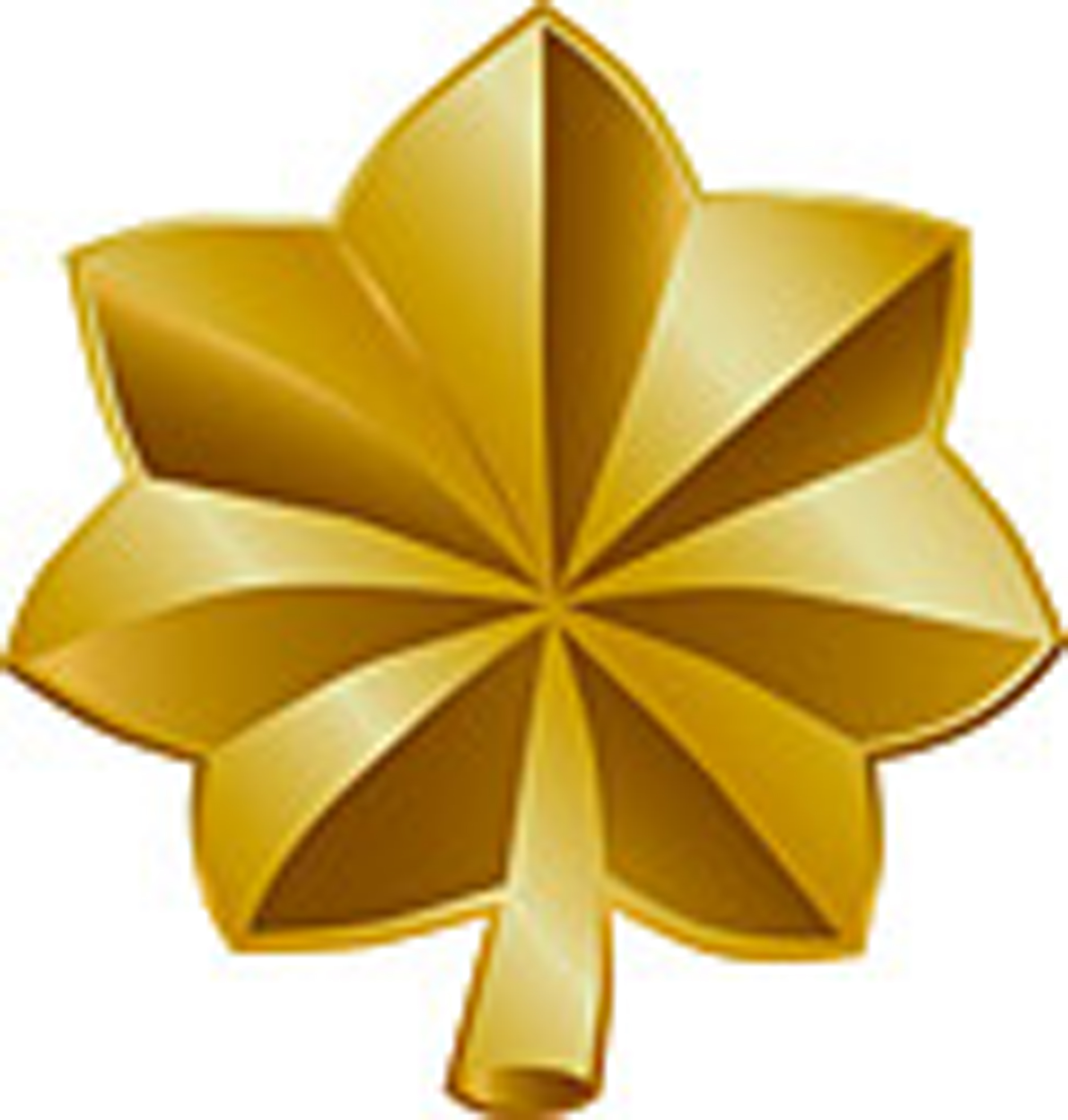 ARPC announces CY19 major promotions > 445th Airlift Wing > Article Display