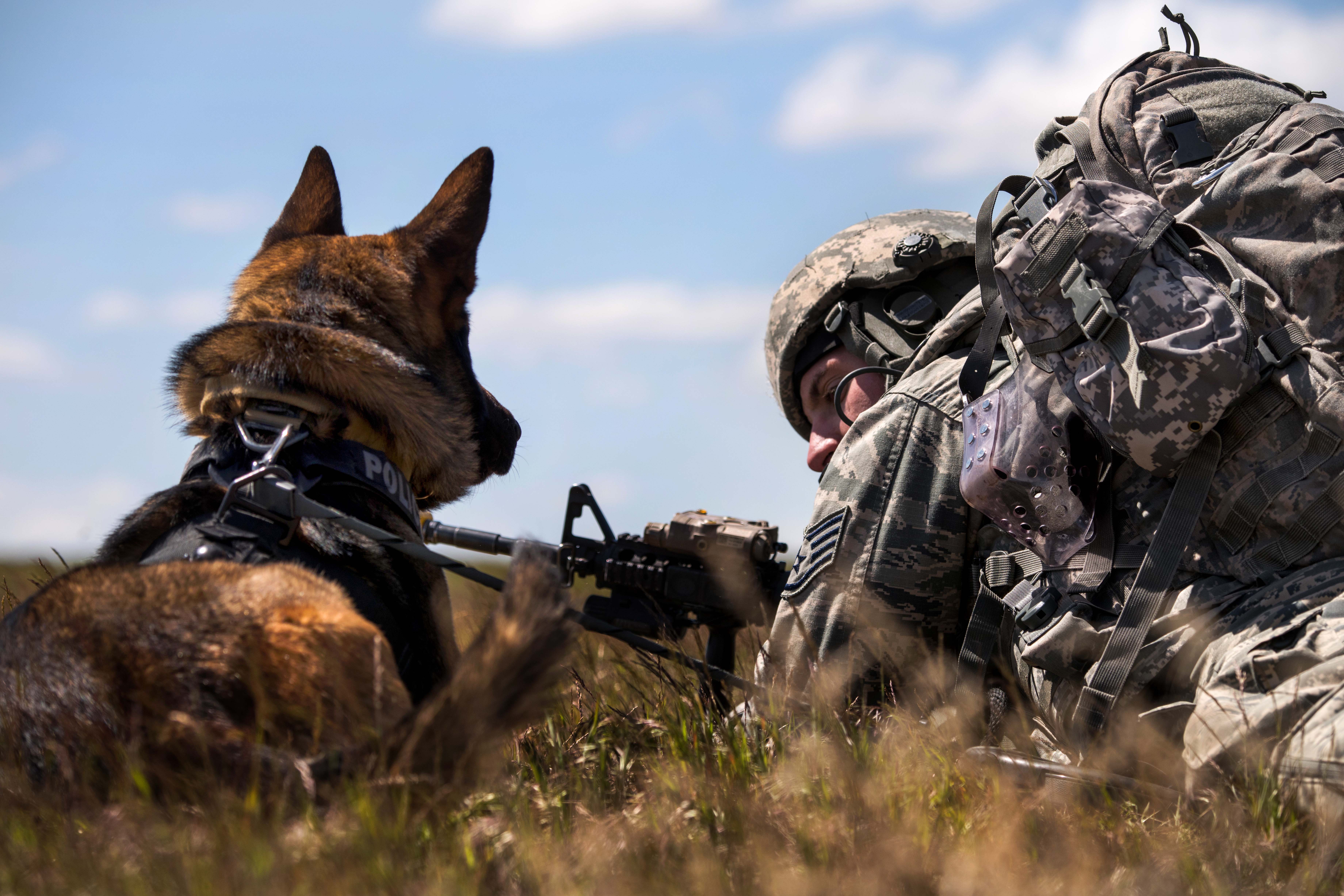 Air Force Staff Sgt. Joshua Rettschlag talks to his military dog, Onur ...