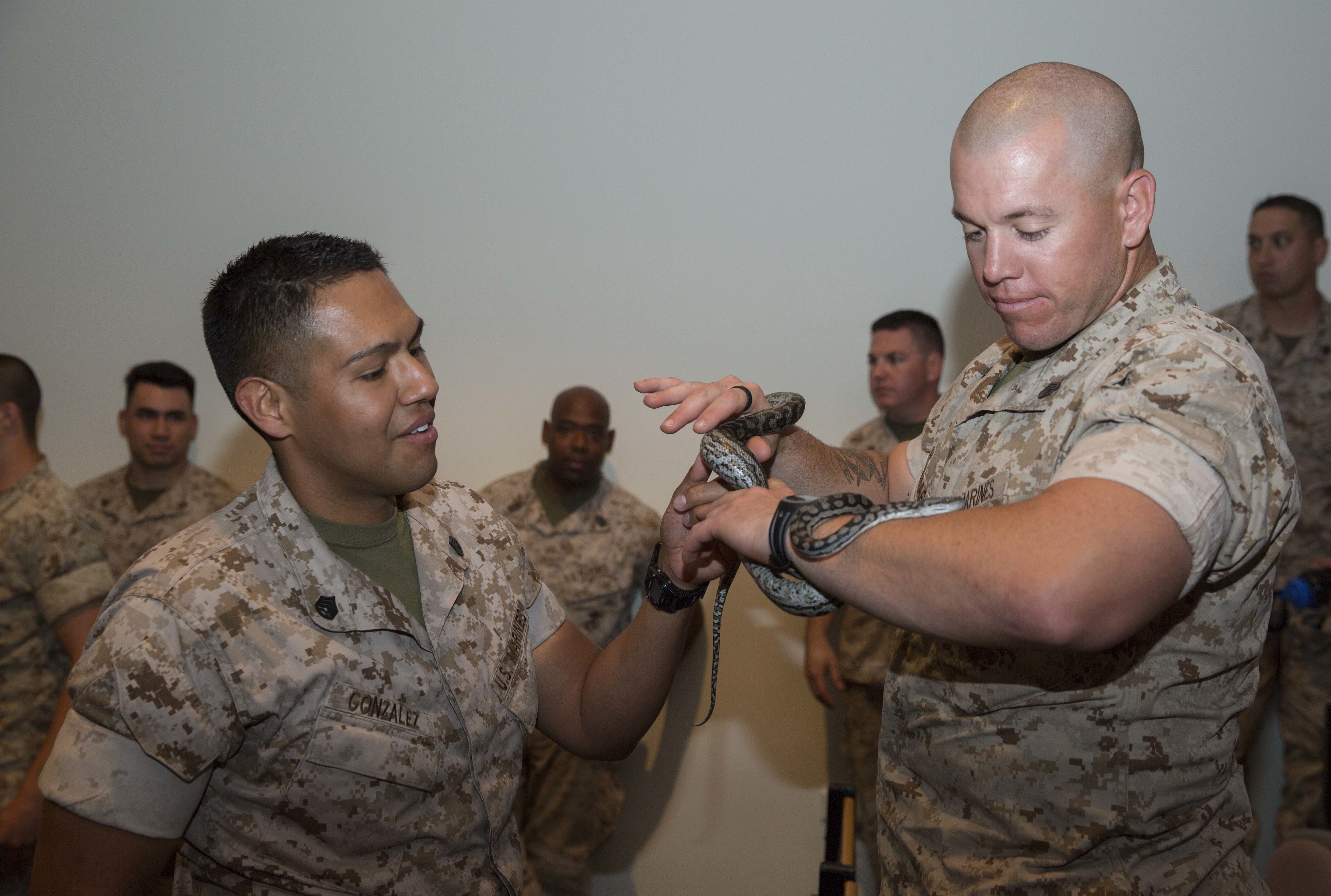 U.S. Marine Corps Forces, Pacific > Units > Marine Rotational Force ...
