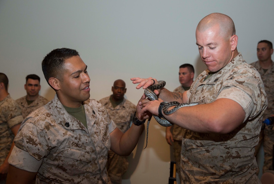 1st Battalion, 4th Marines receive Australian wildlife brief to start ...