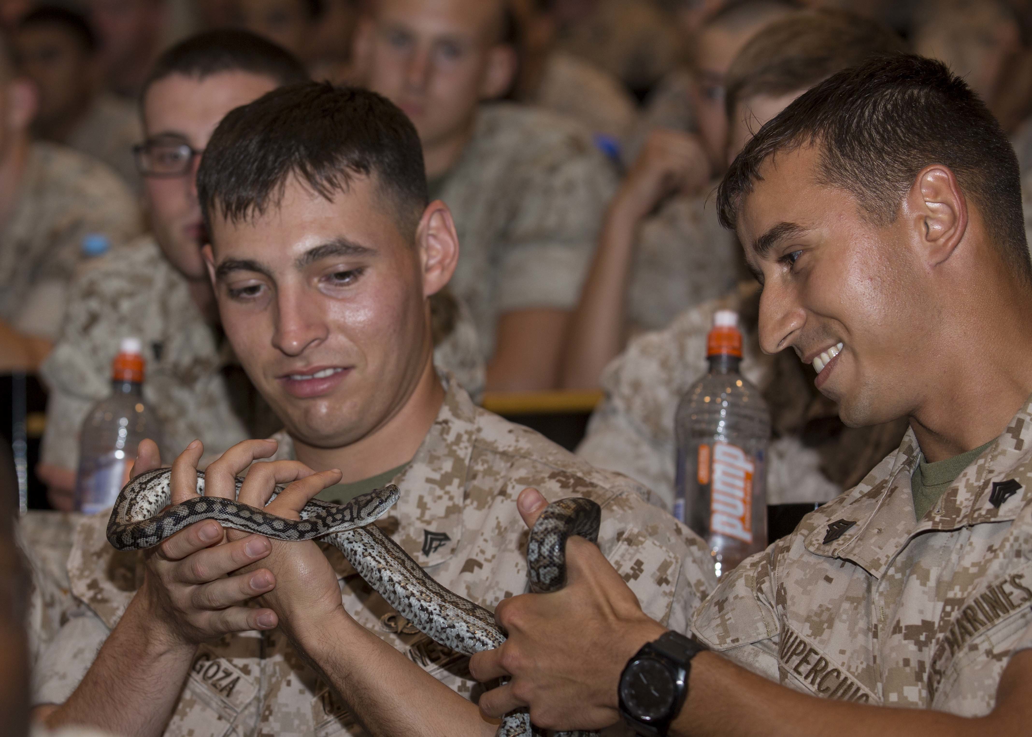 1st Battalion, 4th Marines receive Australian wildlife brief to start ...