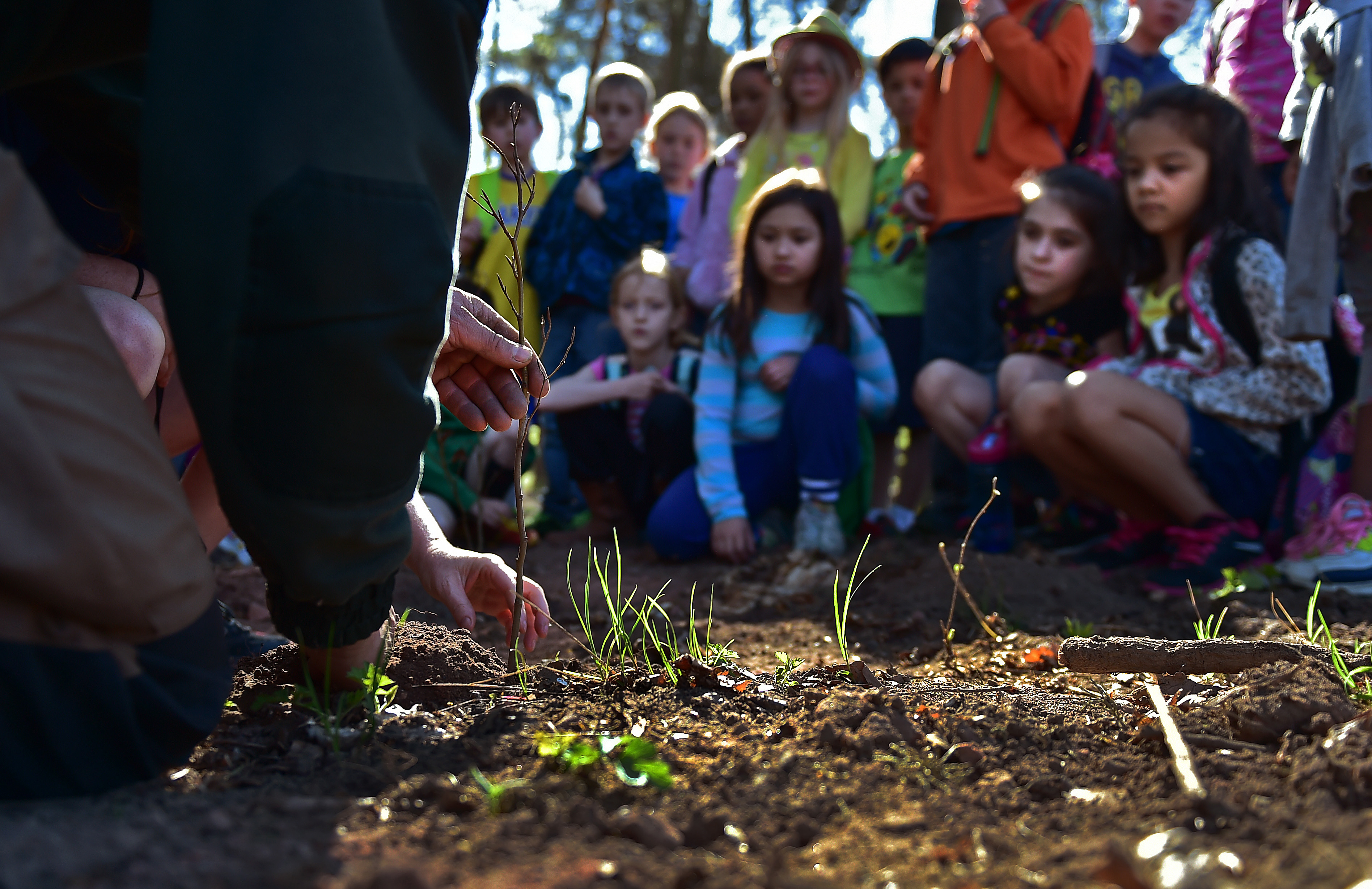 RES students plant trees for Earth Day > Ramstein Air Base > Article ...