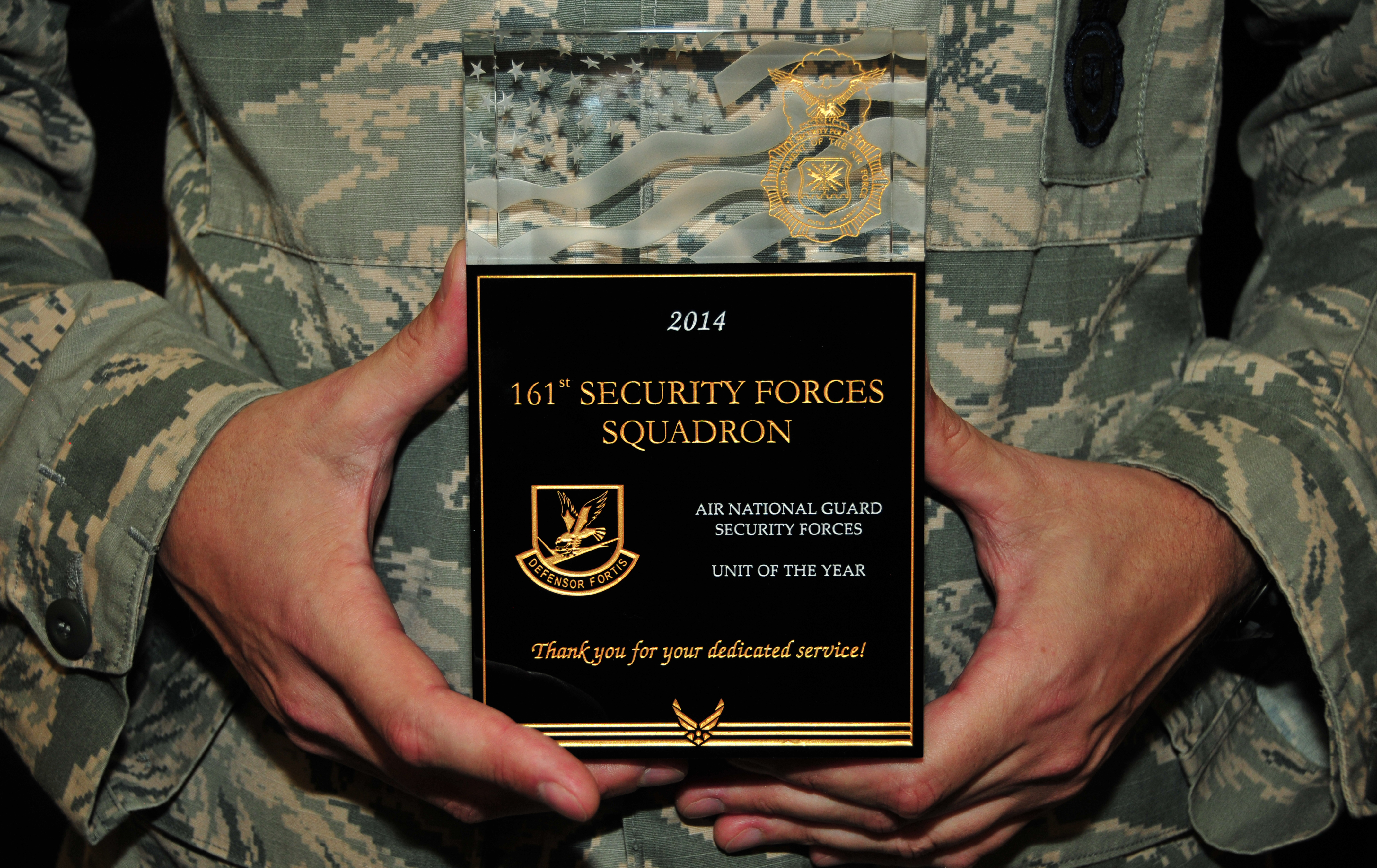 Wing defenders accept ANG Squadron of the Year award > 161st Air ...