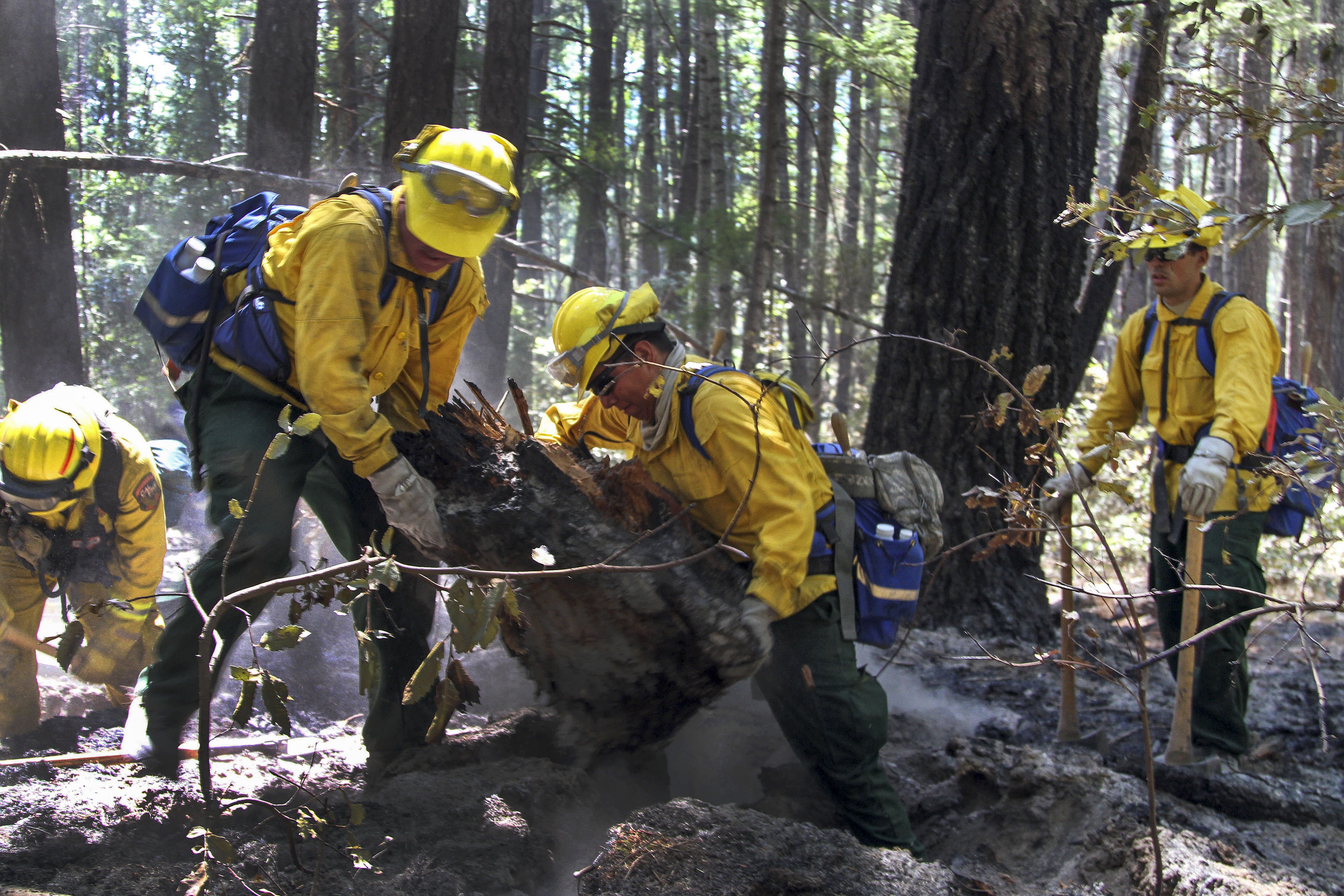 WILDCAT STUMP | U.S. Department of War