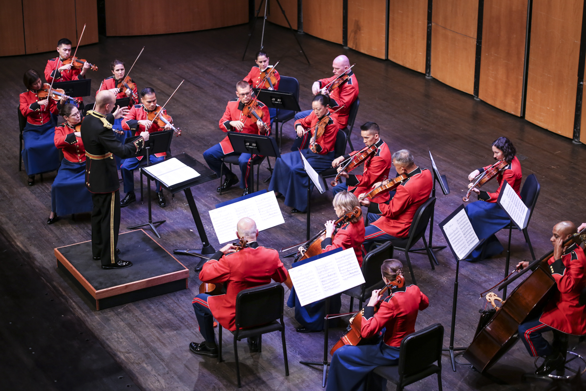 Summer Orchestra Series