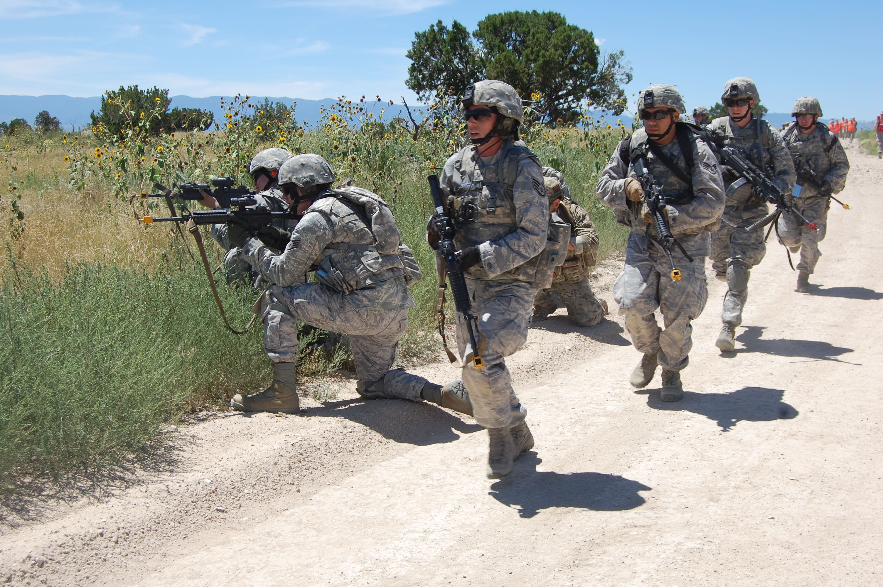 Security Forces and EOD train together to maximize impact > 140th Wing ...