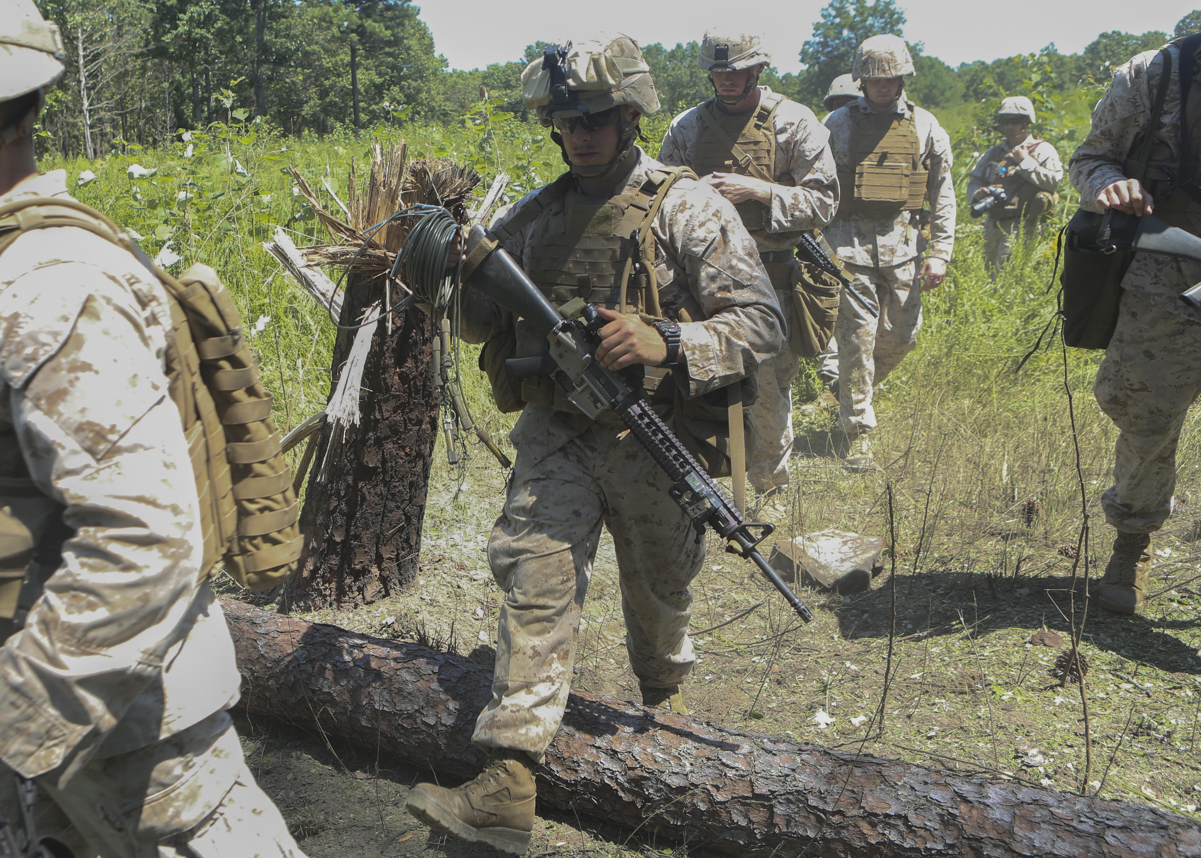 2nd CEB brings down trees during demolition range