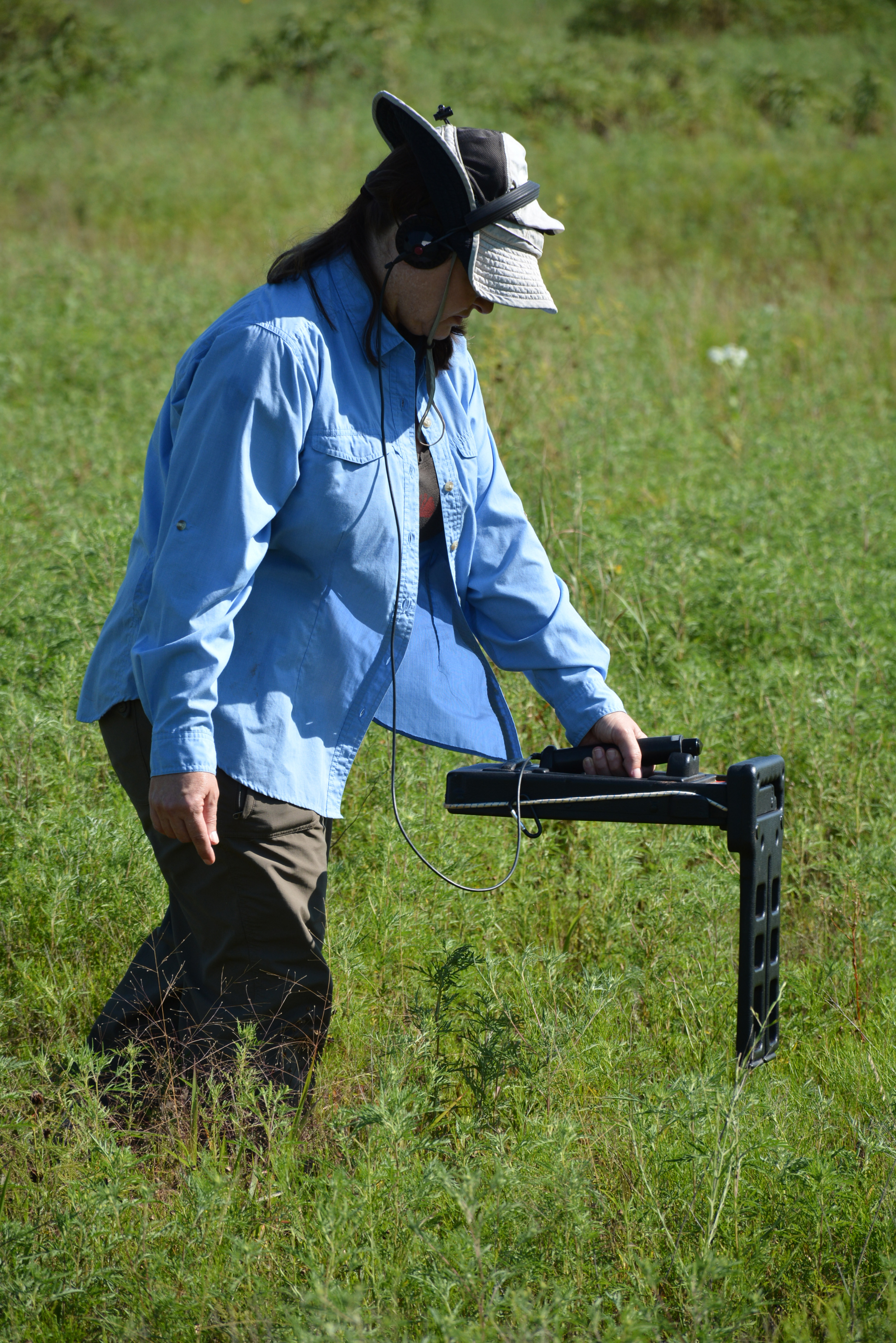 Hunting hatchlings > Tinker Air Force Base > Article Display
