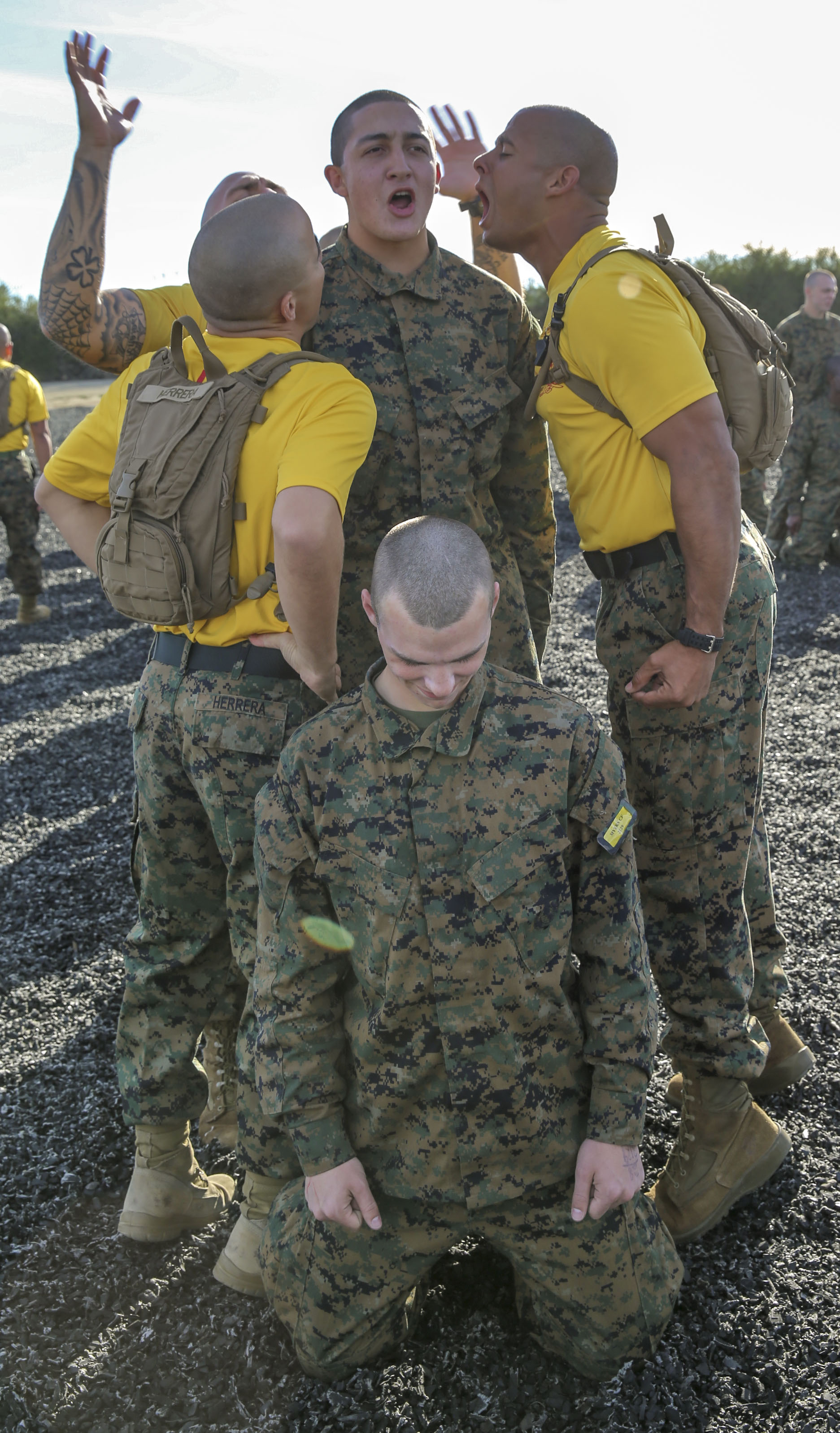 why do drill instructors scream