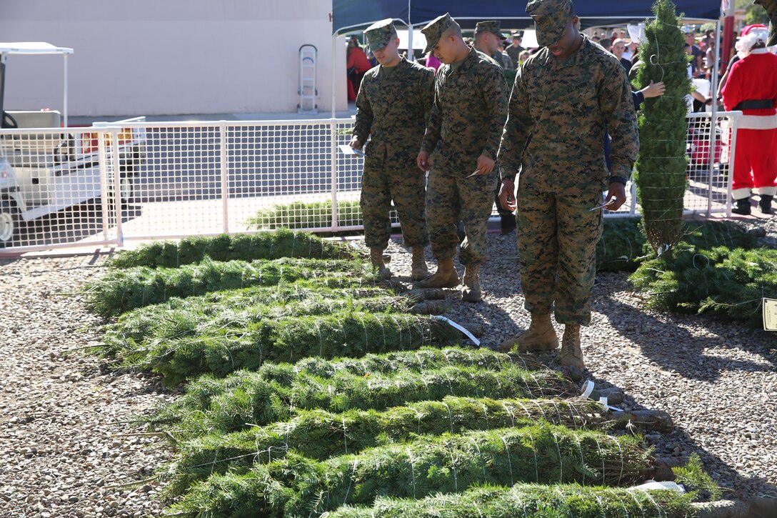Tree giveaway spreads holiday cheer through MCAS Miramar