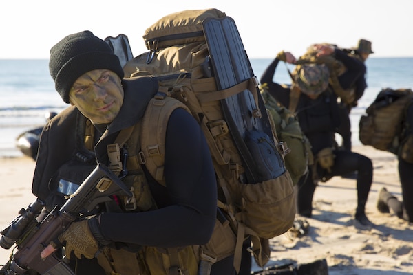 Marines wanted: MOS fields provide lateral move opportunities > II ...