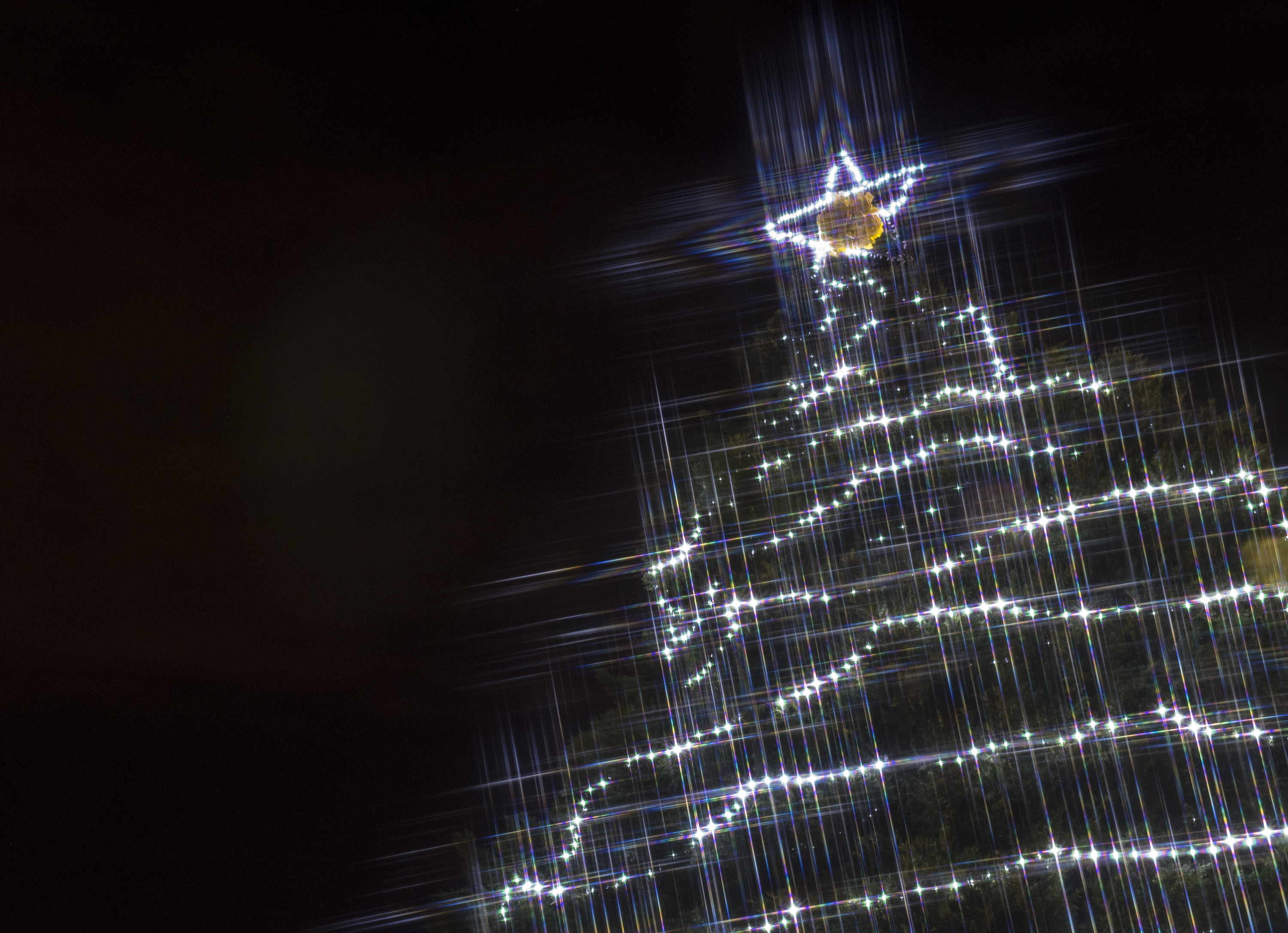 Moody celebrates annual tree-lighting event > Moody Air Force Base ...