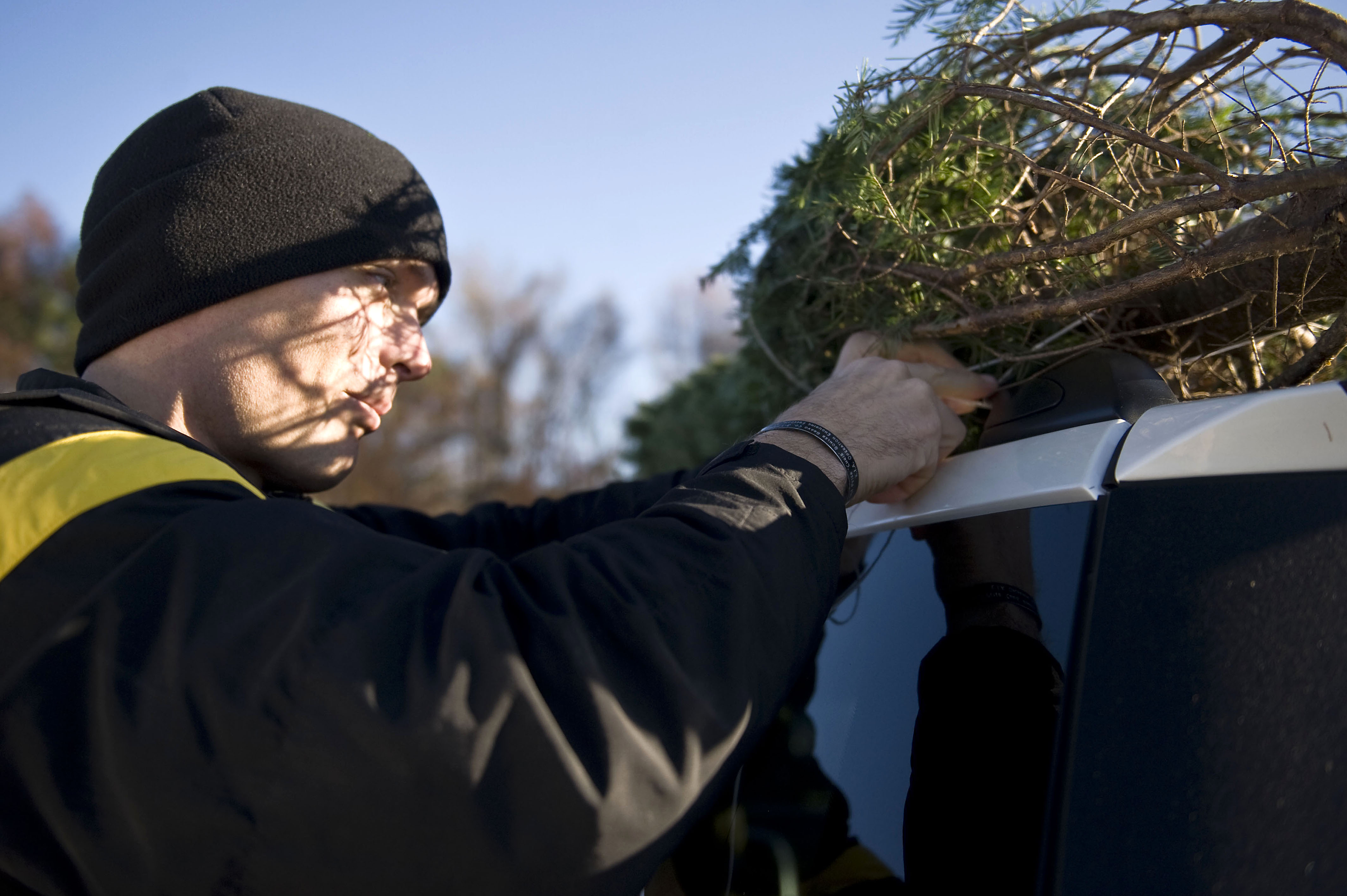 Trees for troops: kicking off the holiday season
