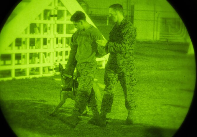 Night training gets K-9 out of 10
