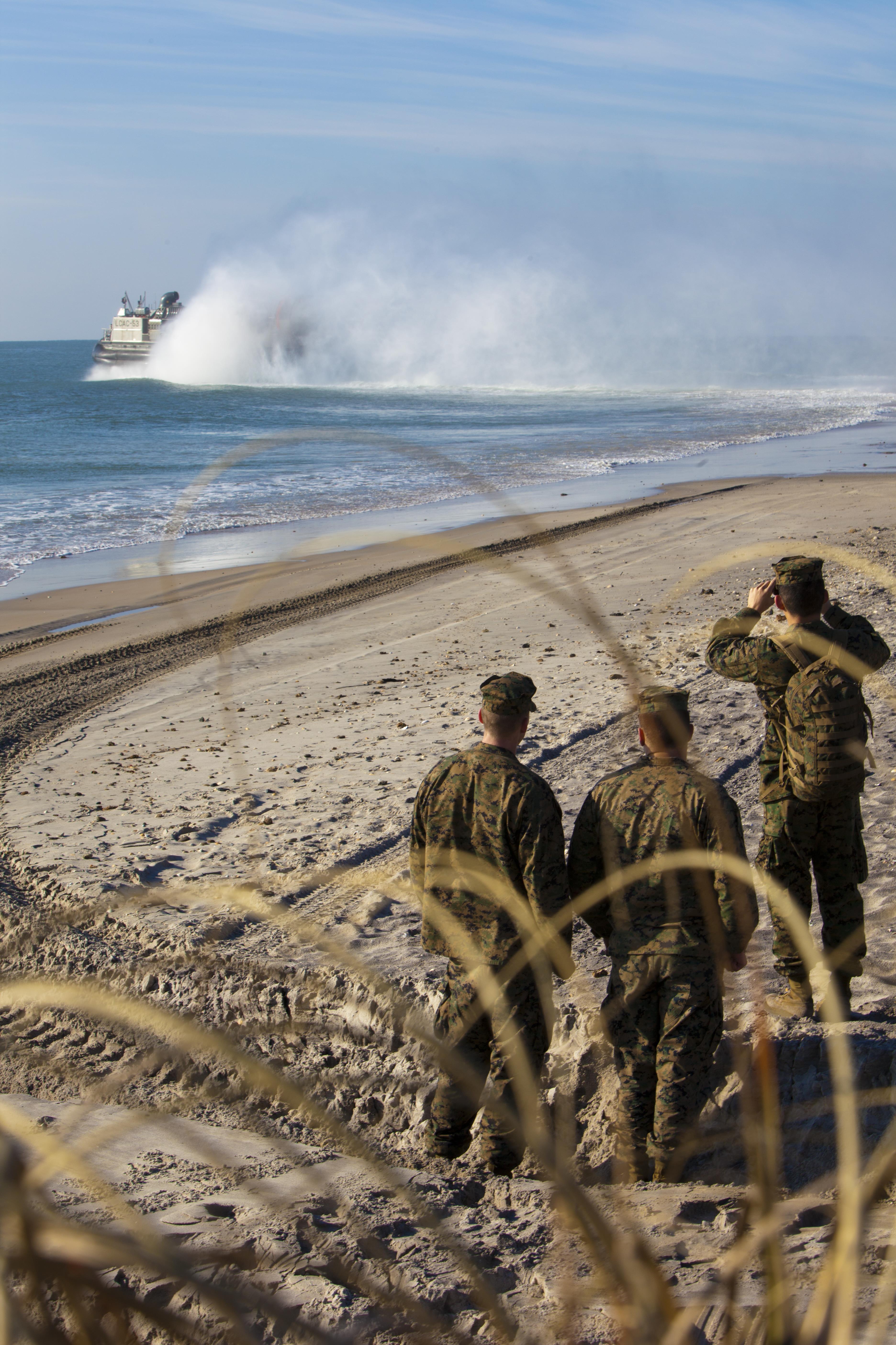 Marines and sailors participate in Exercise Bold Alligator