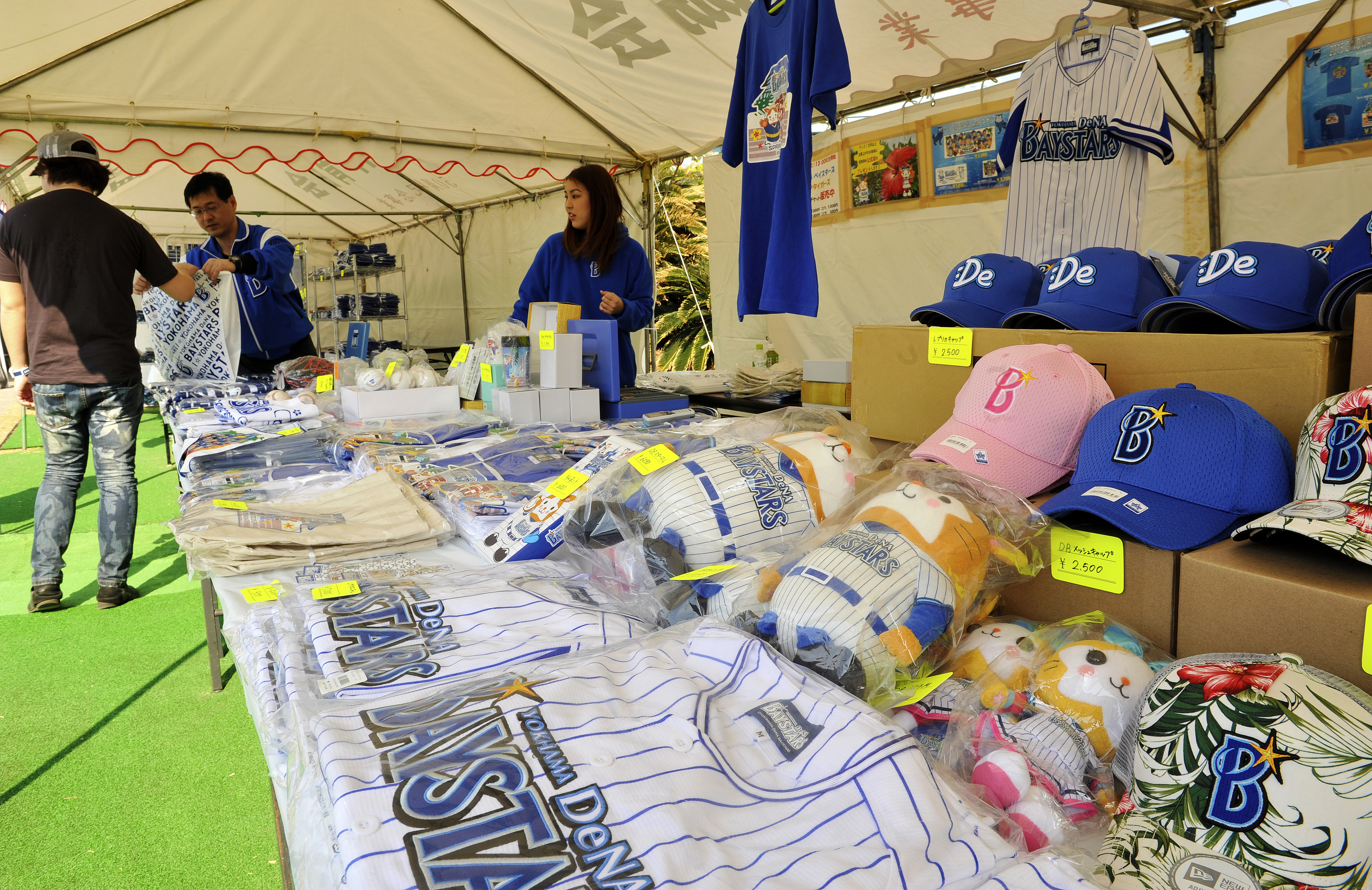 Explore Okinawa: Japanese pro baseball training camps begin > Kadena ...