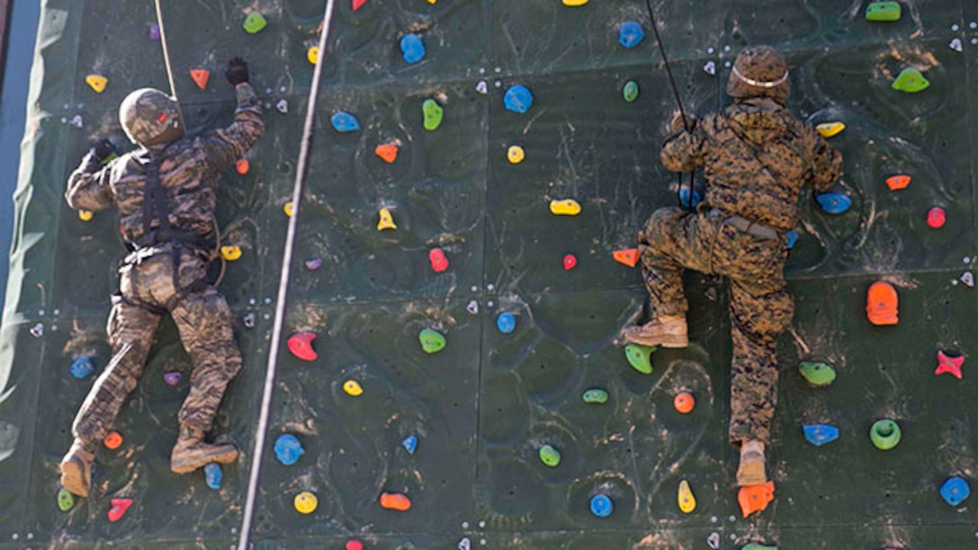 Rappel, Climb, Patrol, Repeat: ROK Marines, 3/3 Train Mountain Warfare