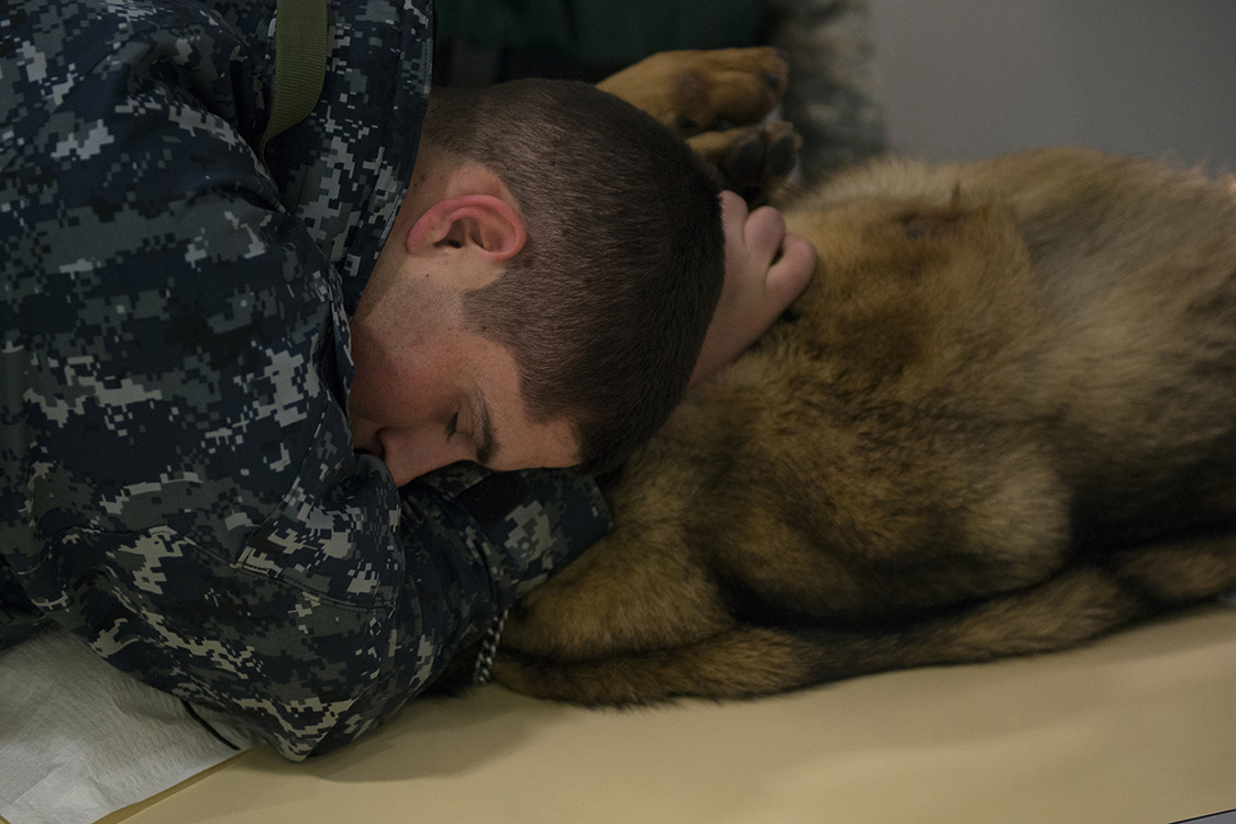 87th MDG treats four-legged veteran > Joint Base McGuire-Dix-Lakehurst ...