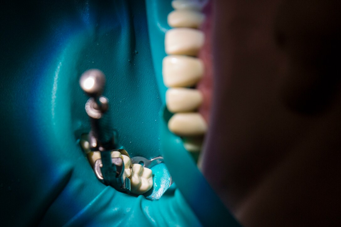 Field dental exercise: 3rd Dental Battalion prepares for oral emergencies