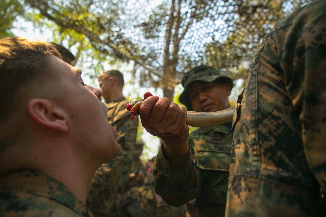 Survival, Spiders and Cobras in Thailand